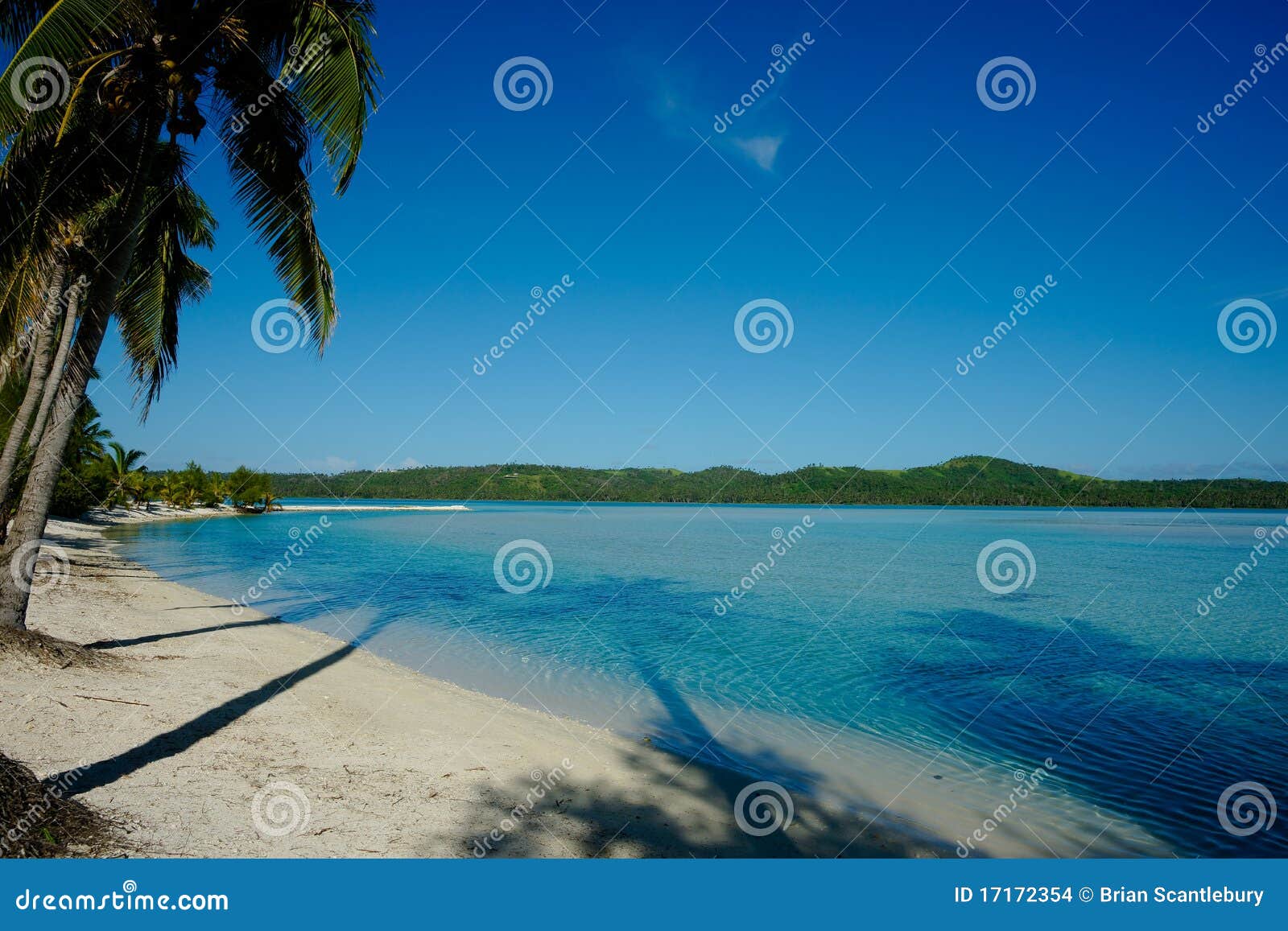 Palm Trees Shadows Across Beach, Under Blue Sky. Stock Photo - Image of ...