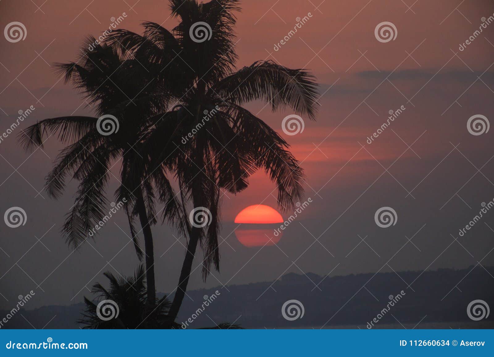 Palm Trees Silhouette on Sunset Stock Photo - Image of luxury ... Palm Trees Silhouette on Sunset Stock Photo - Image of luxury ...