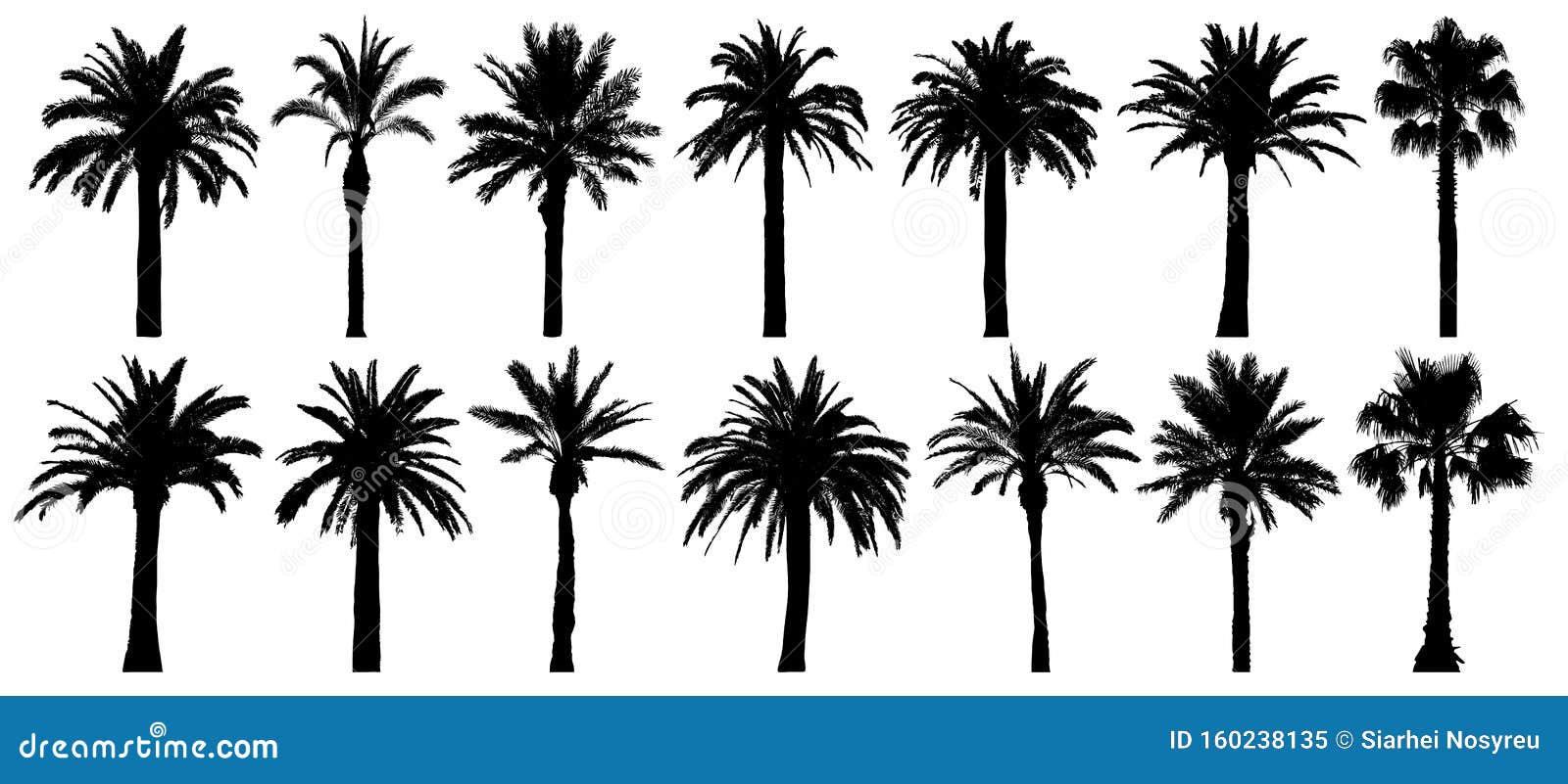 Palm Trees Silhouette. Vector Set Tropical Trees Stock Vector ... Palm Trees Silhouette. Vector Set Tropical Trees Stock Vector ...