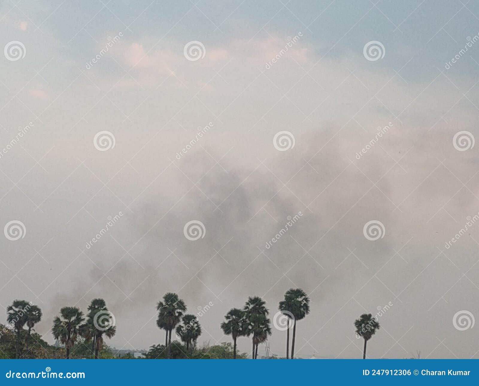 Palm Trees and Smoke Around Stock Photo - Image of haze, dawn: 247912306