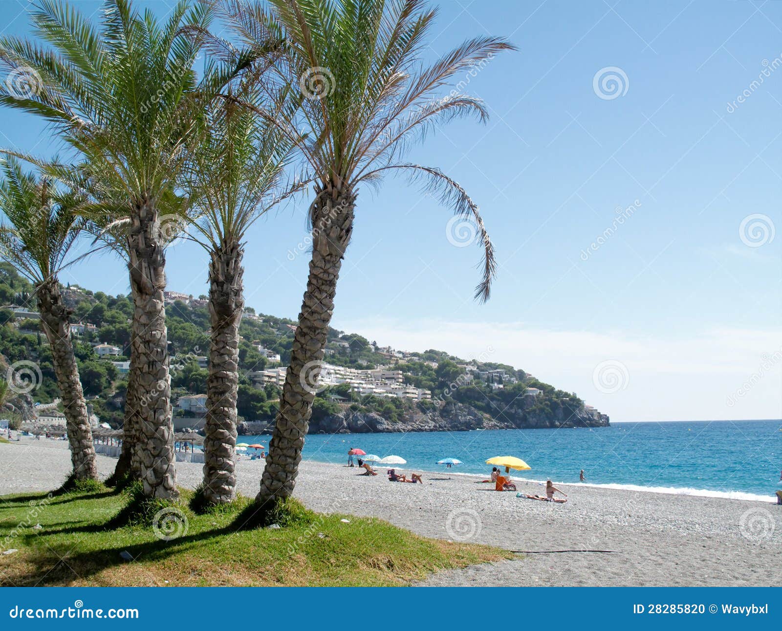 Palm Trees on Spanish Beach Stock Photo - Image of tourist, farniente ...