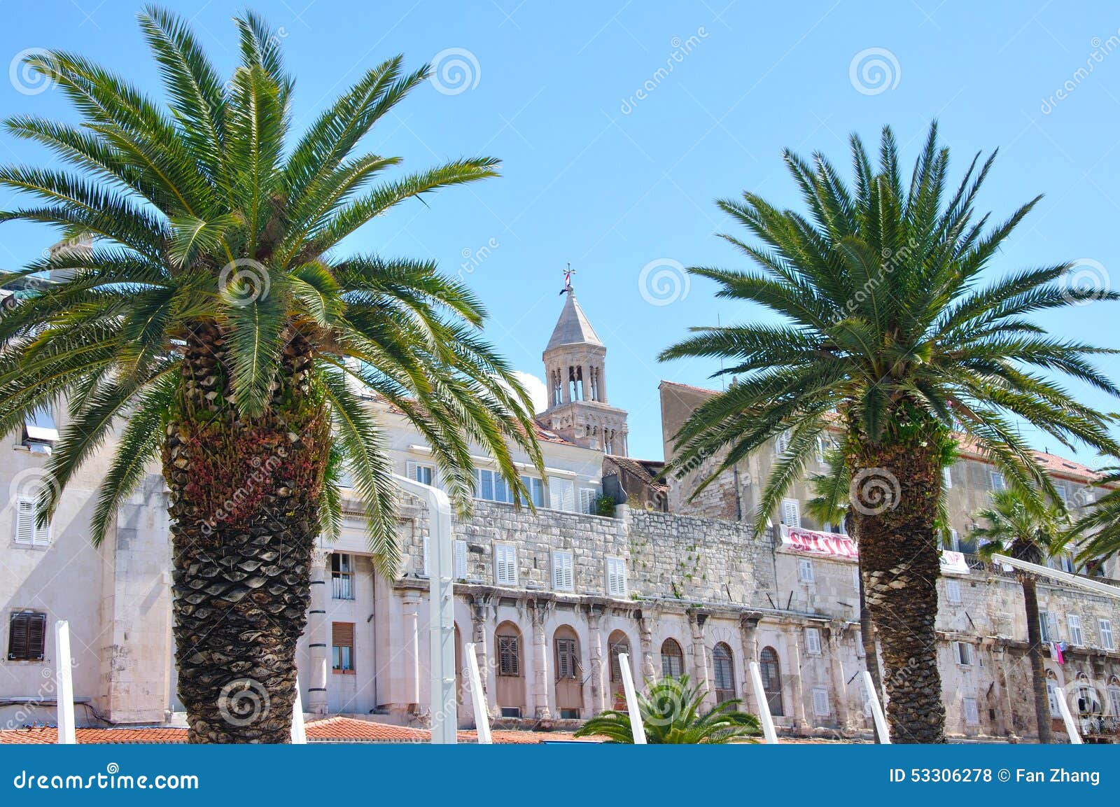 Palm Trees in Split, Croatia Stock Photo - Image of urban, church: 53306278