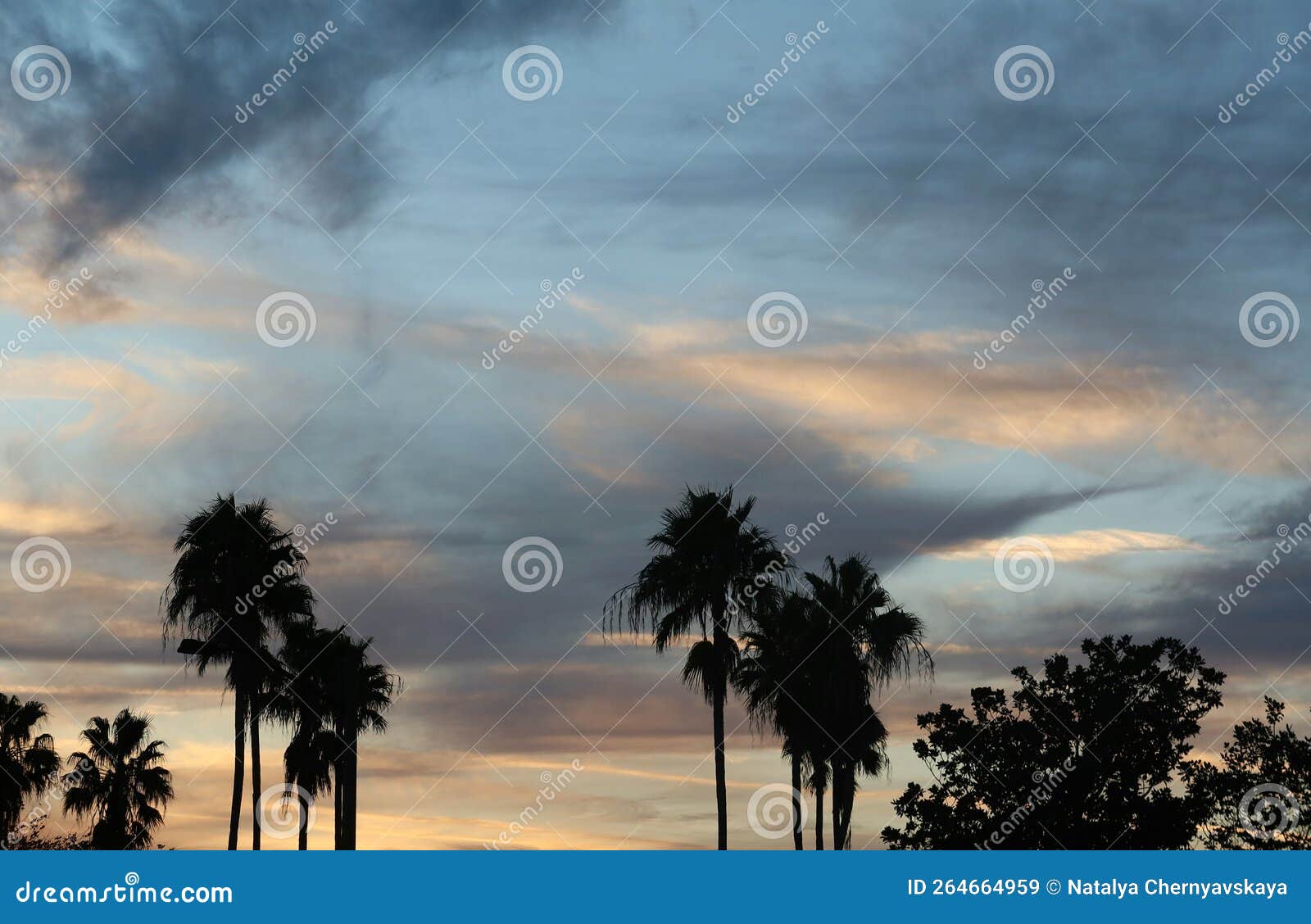 Palm Trees at Sunset Background Stock Image - Image of palm, america ...