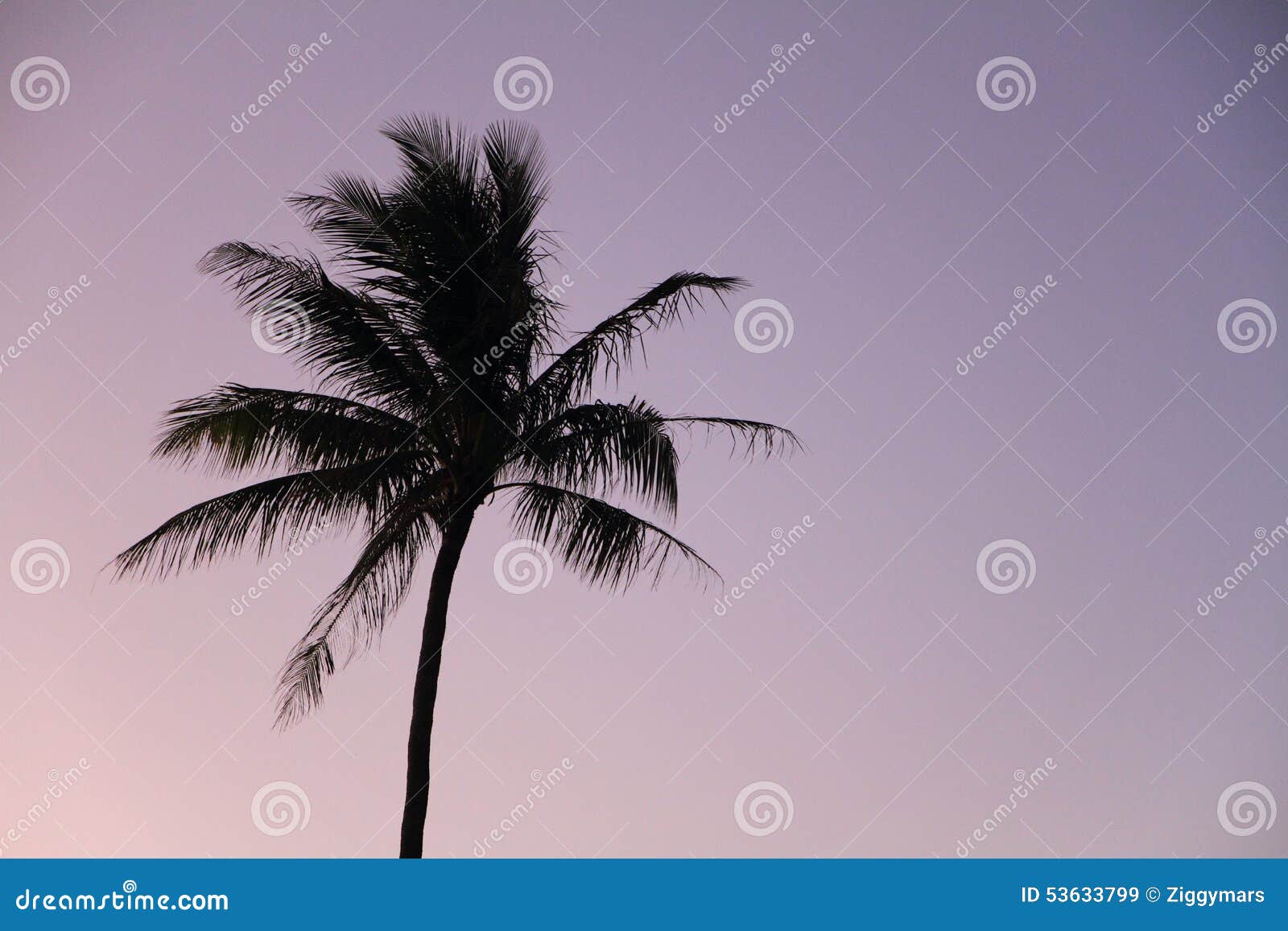 Palm Trees at Sunset in Guam Stock Image - Image of ocean, blue: 53633799