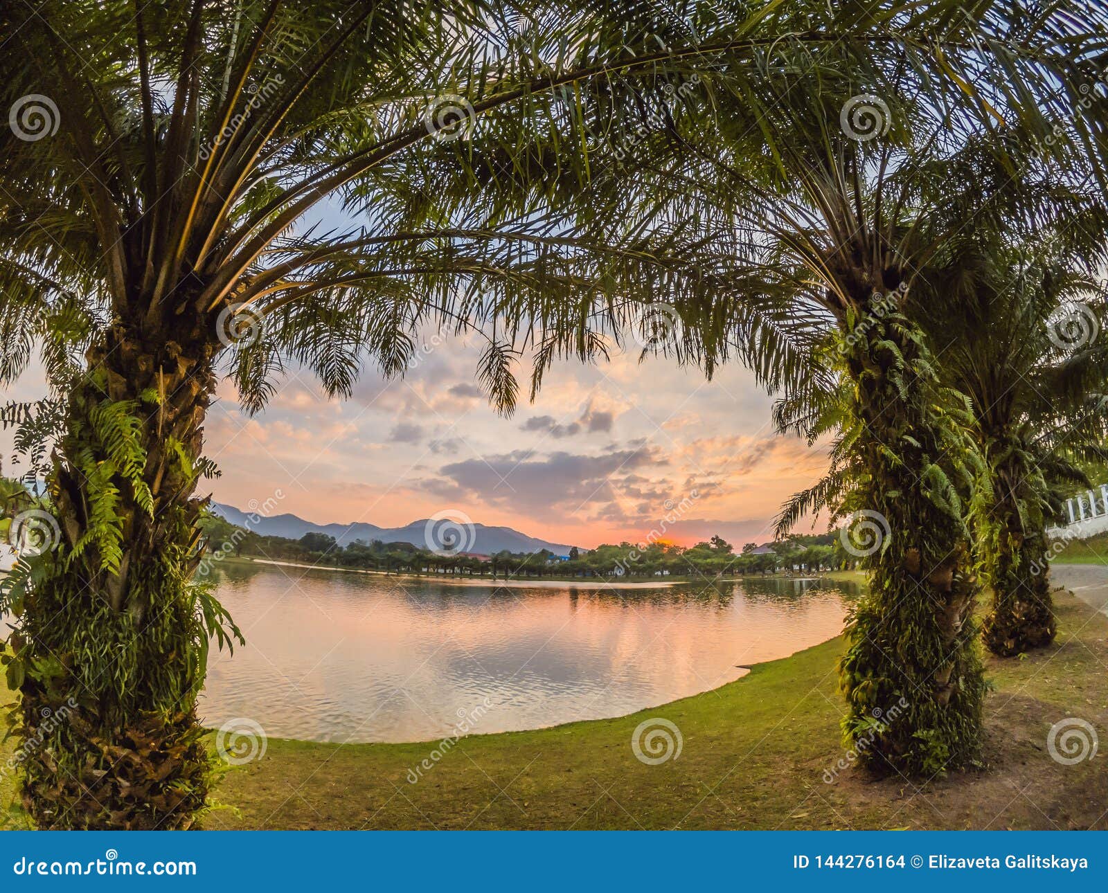 Palm Trees and Sunset of the Sky, Reflection Stock Photo - Image of ...