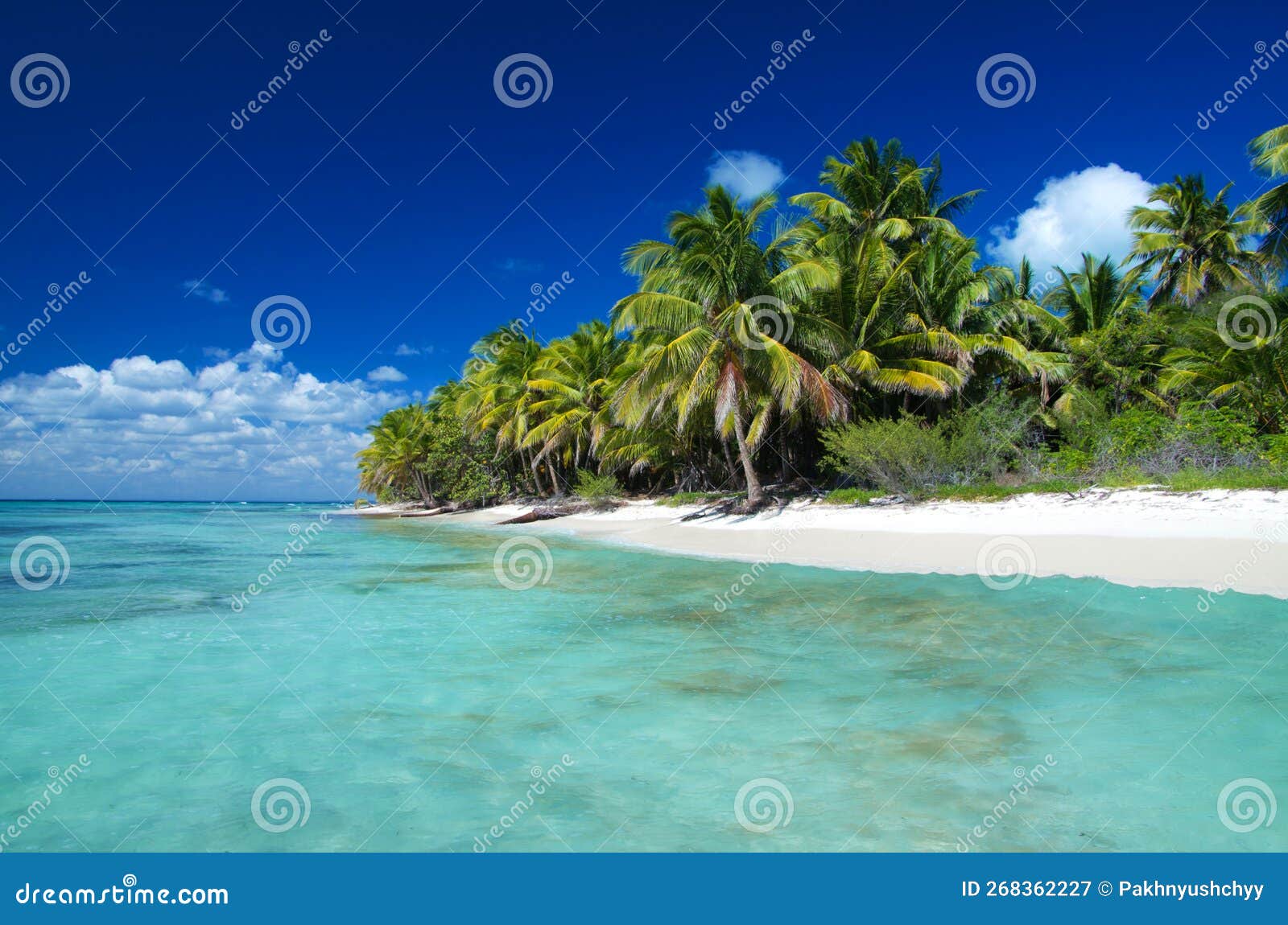 Beach Stock Image Image Of Island Calm Nature Outdoor 268362227