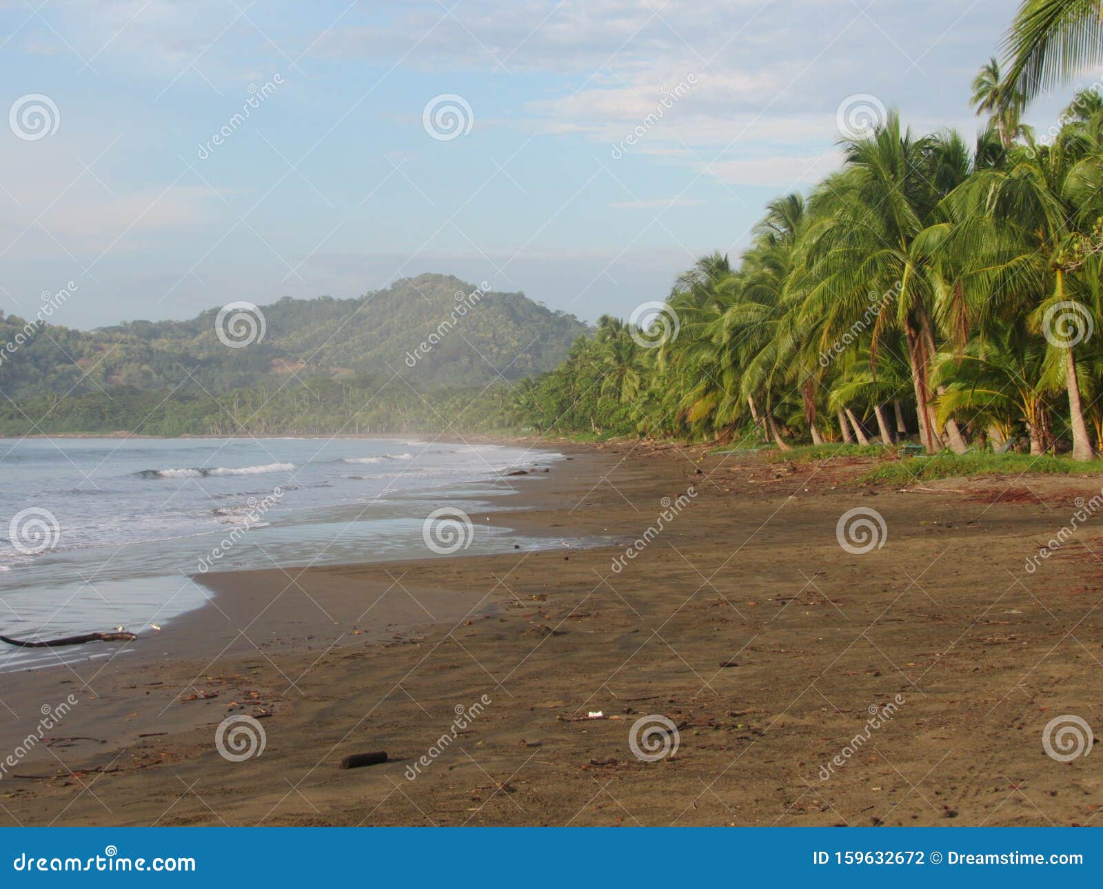 Palm Trees on Tropical Beach of Costa Rica. Stock Photo - Image of ...