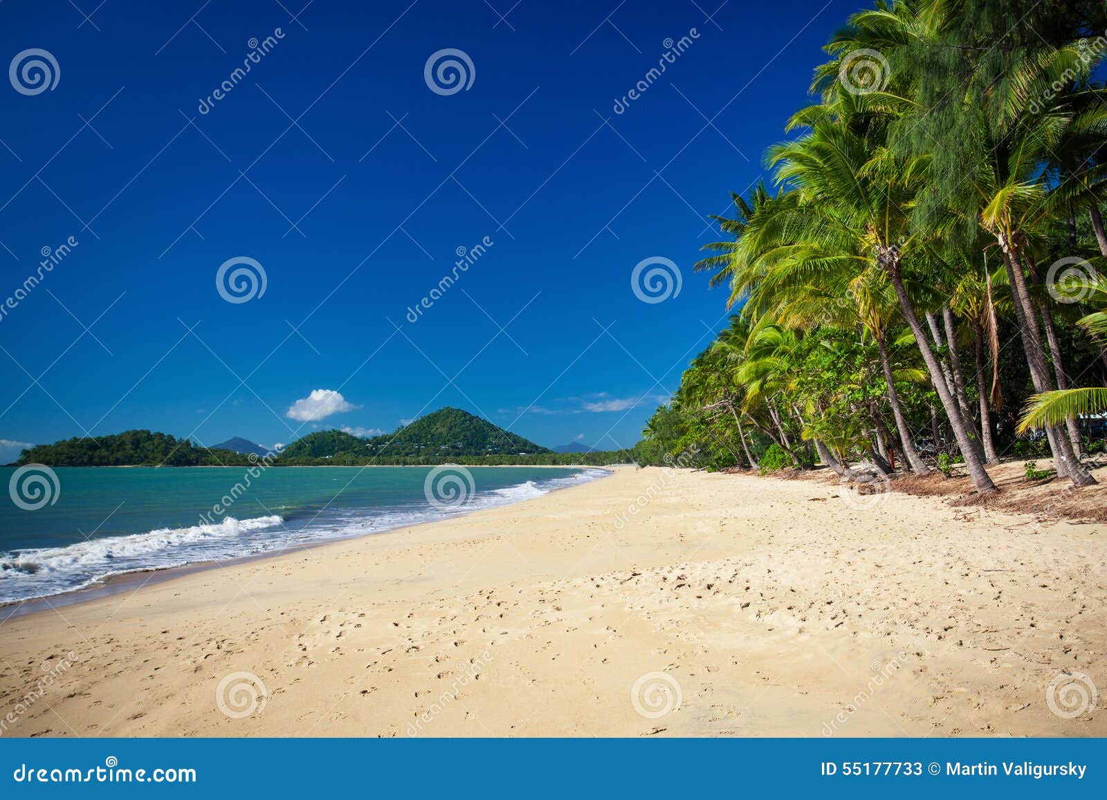 Palm Trees on the Tropical Beach, Palm Cove, Australia Stock Image ...