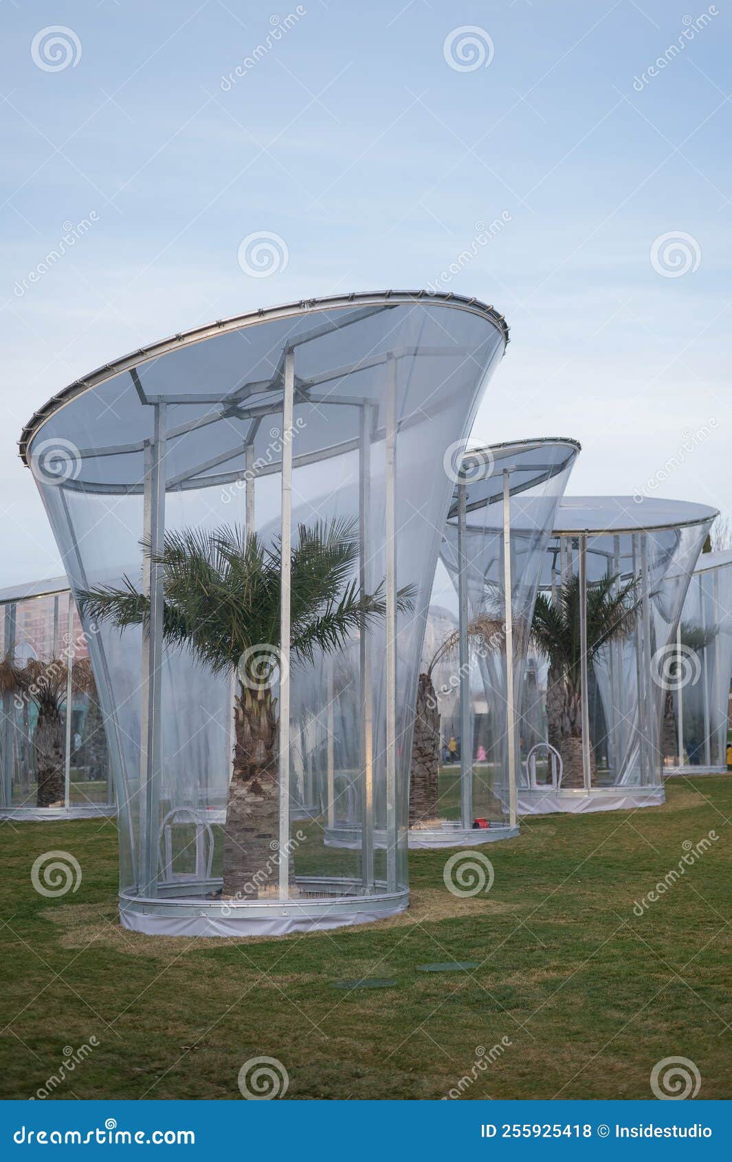 Palm Trees Under a Protective Dome in the Cold Season. Stock Photo ...