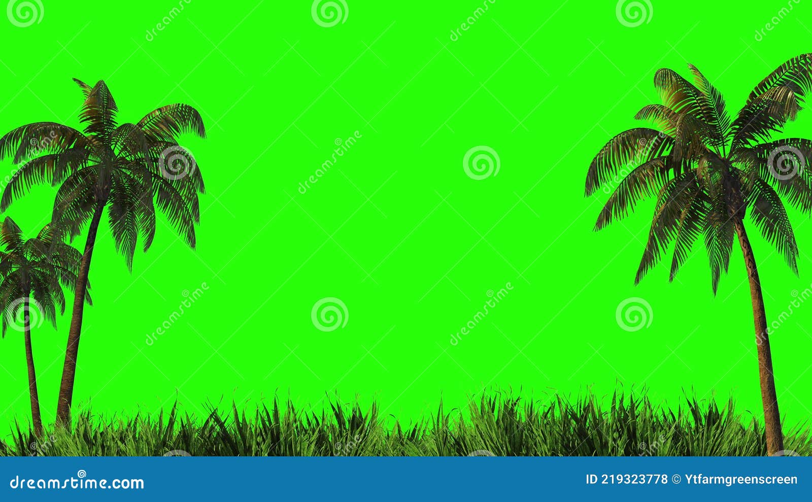 Palm trees green screen stock footage. Video of rendering - 219323778