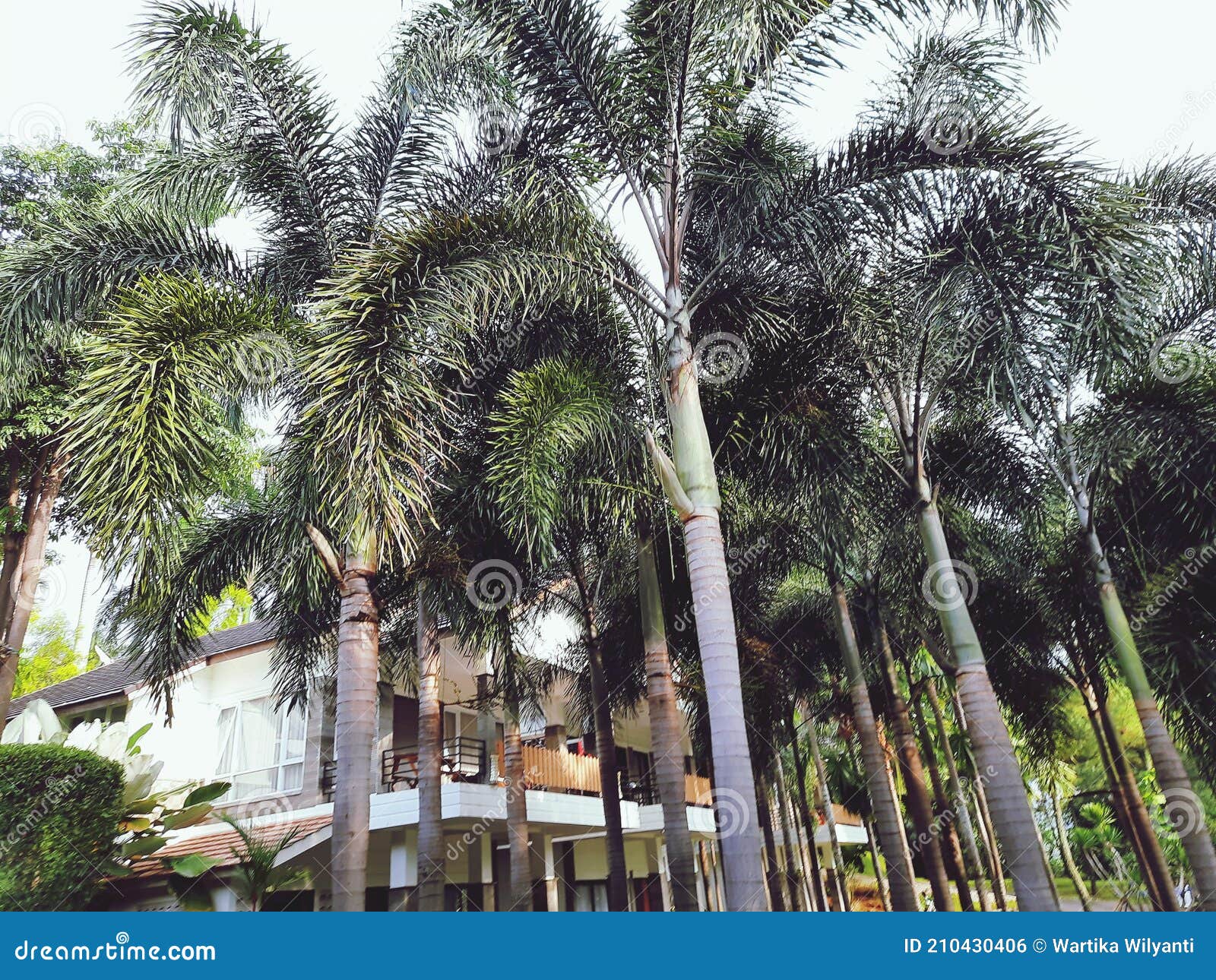 Unobstructed Level Building Stock Photos - Free & Royalty-Free Stock ...