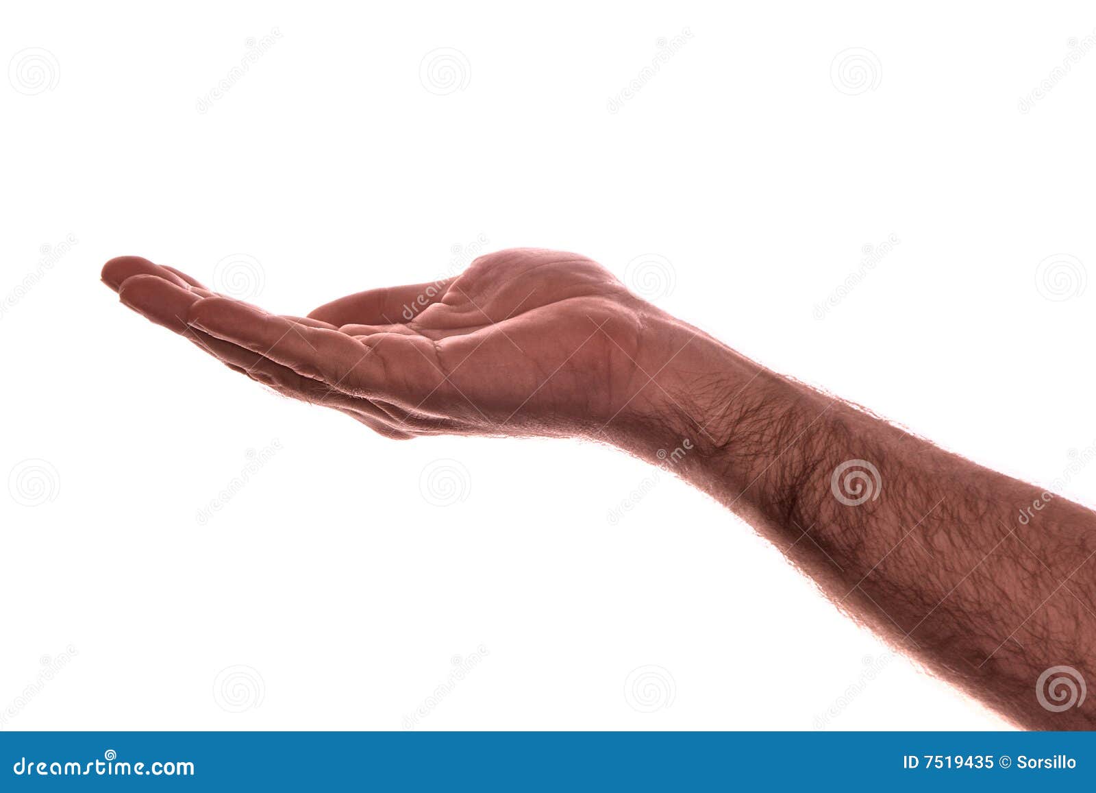 Palm up stock image. Image of hair, male, cupped, fingers - 7519435