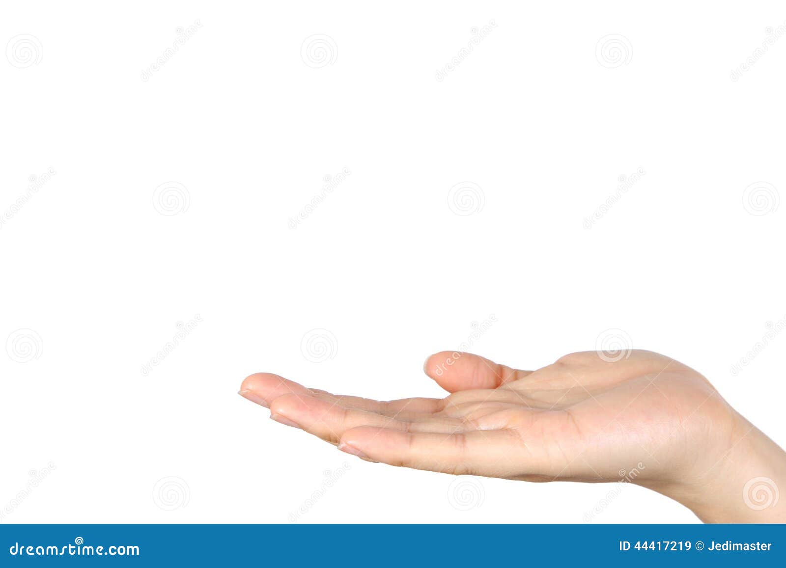 Palm up stock image. Image of background, give, beautiful - 44417219