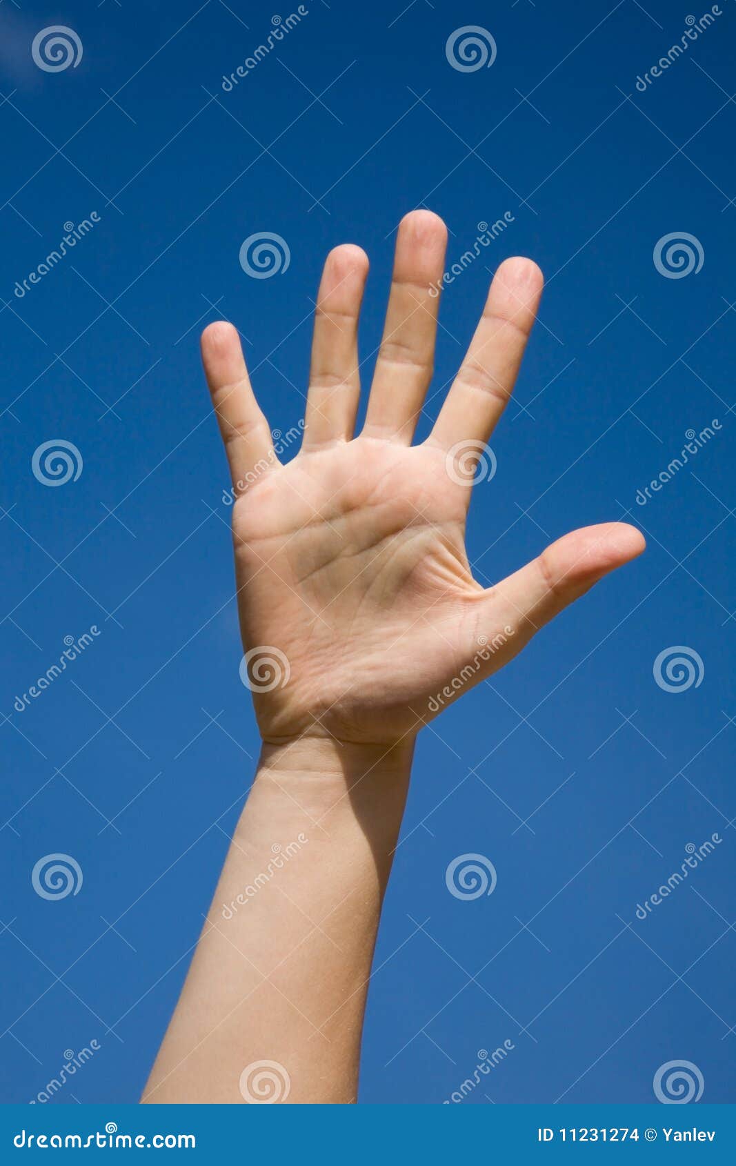 Palm upwards stock photo. Image of concept, summer, salutation - 11231274