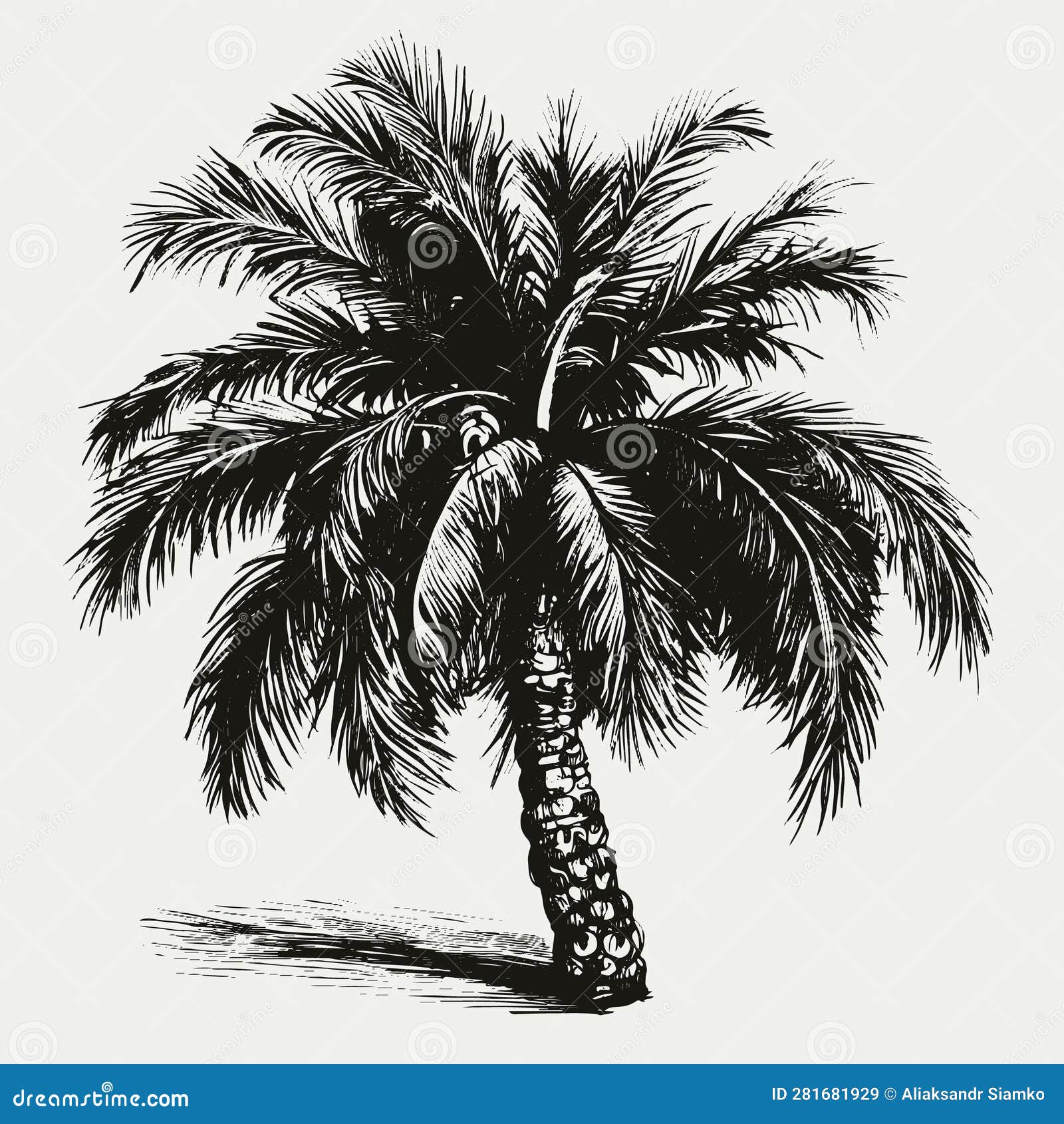 Palm Vector Drawing. Isolated Hand Drawn, Engraved Style Illustration ...