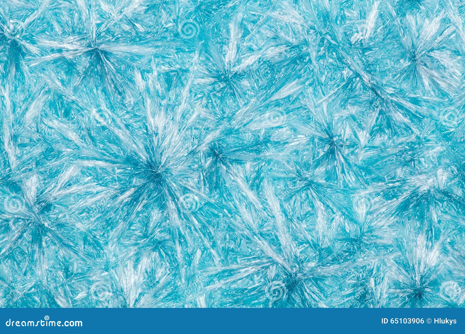 Palm Wax stock photo. Image of macro, pattern, candle - 65103906