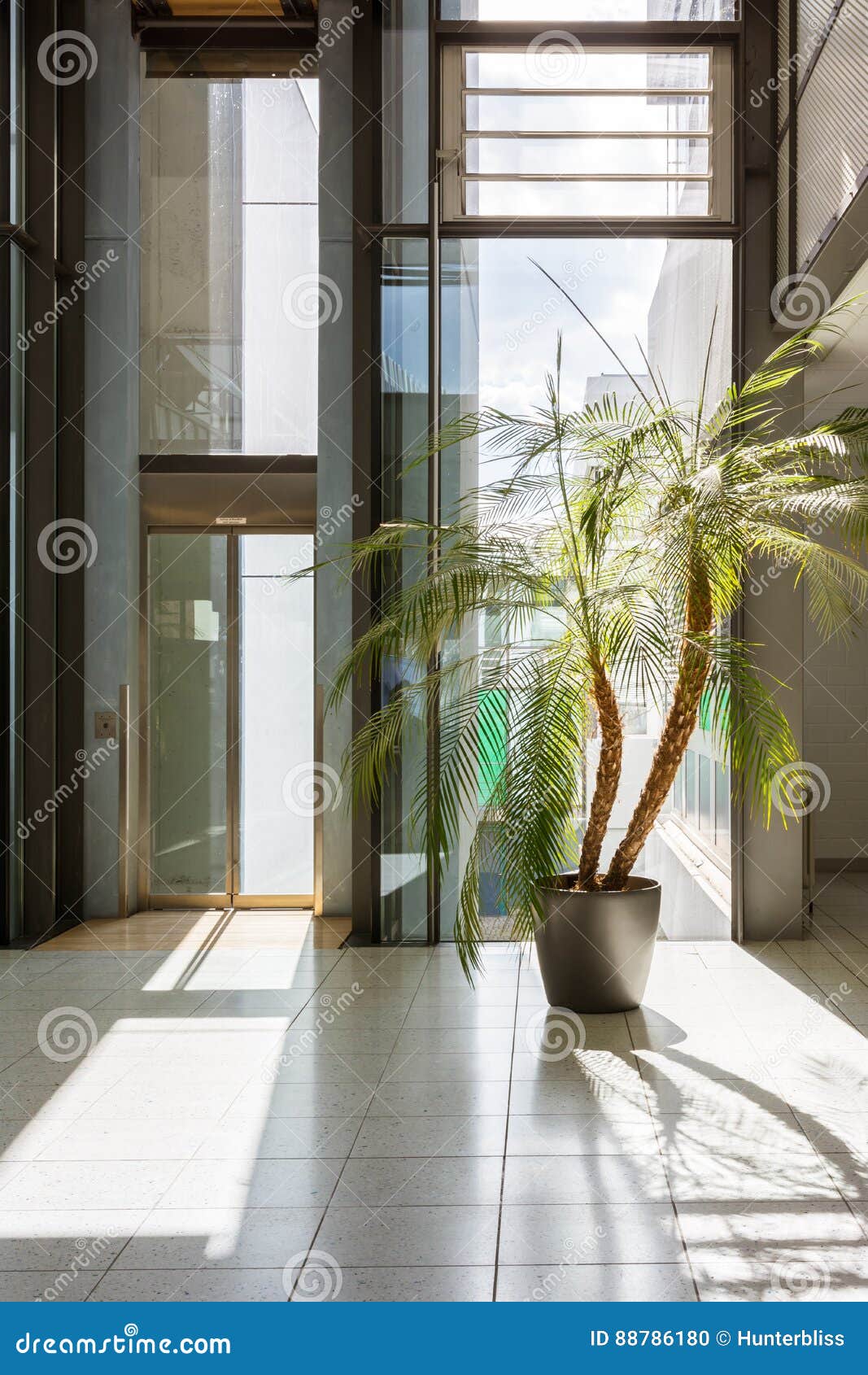 Palm White Modern Tile Floor Office Building Windows Bright Cont Stock ...