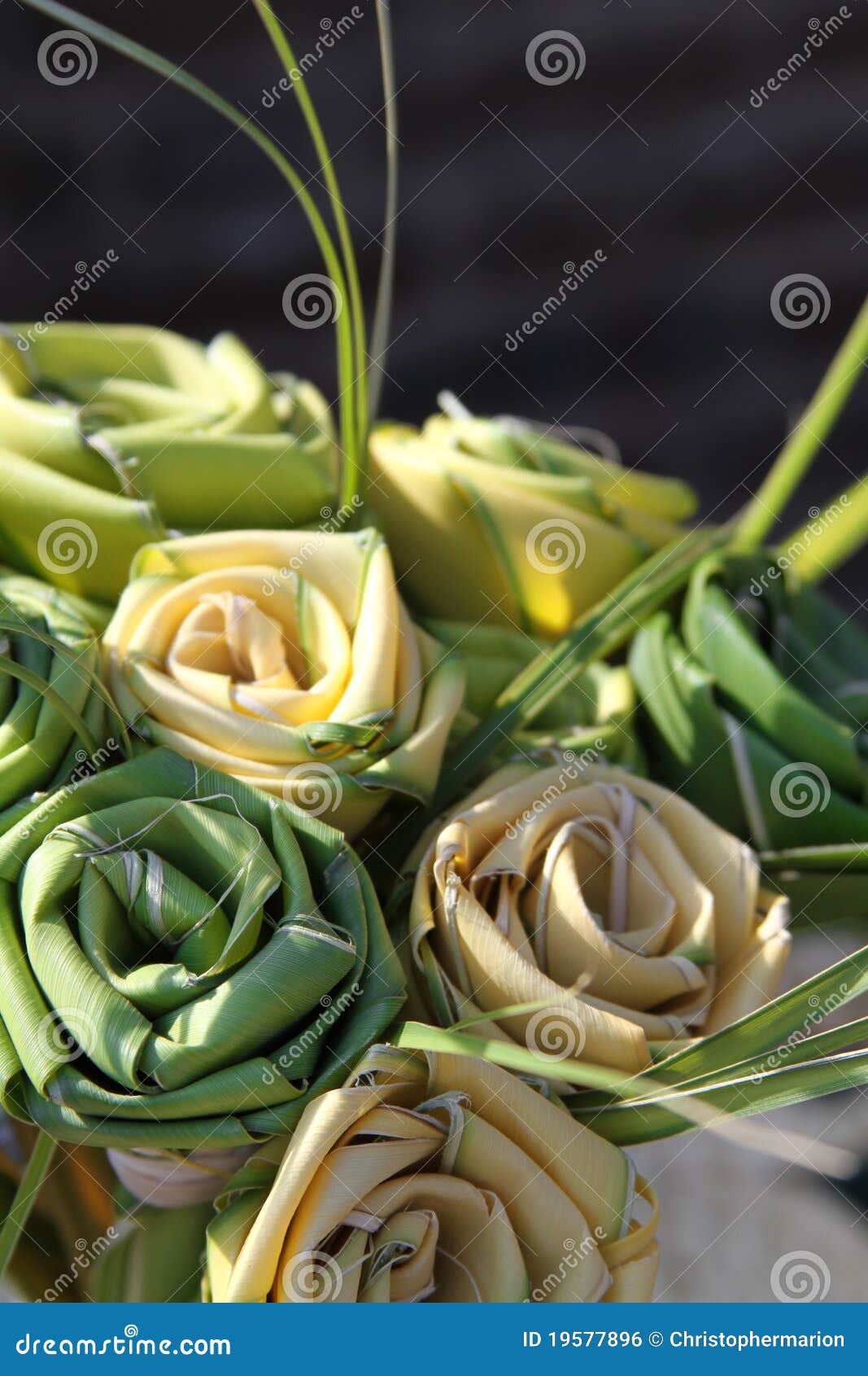 Palm woven roses stock photo. Image of detail, dozen - 19577896