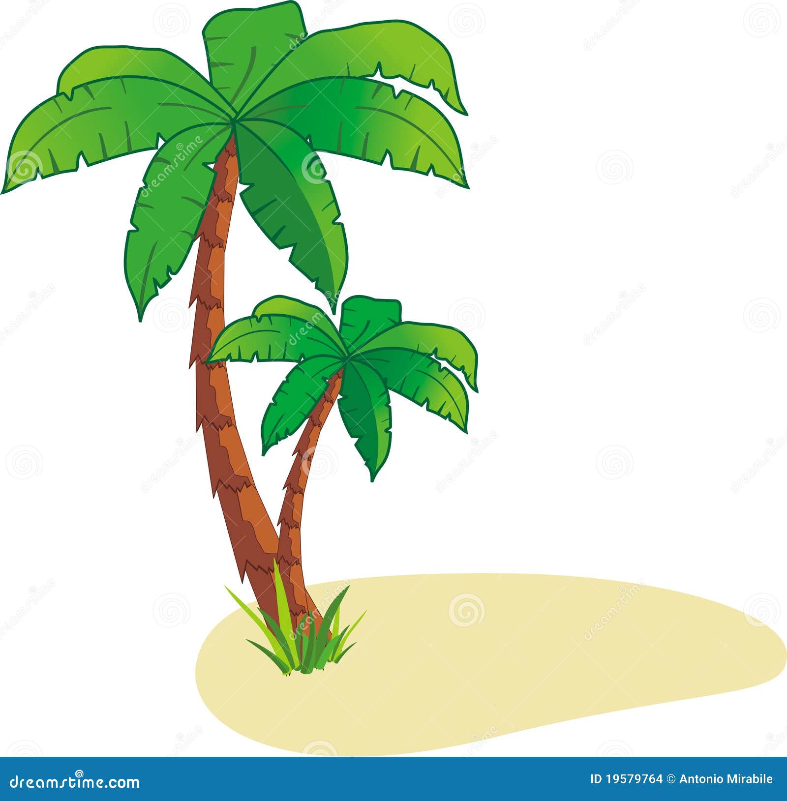 Palma ilustracja wektor. Ilustracja złożonej z naturalny - 19579764