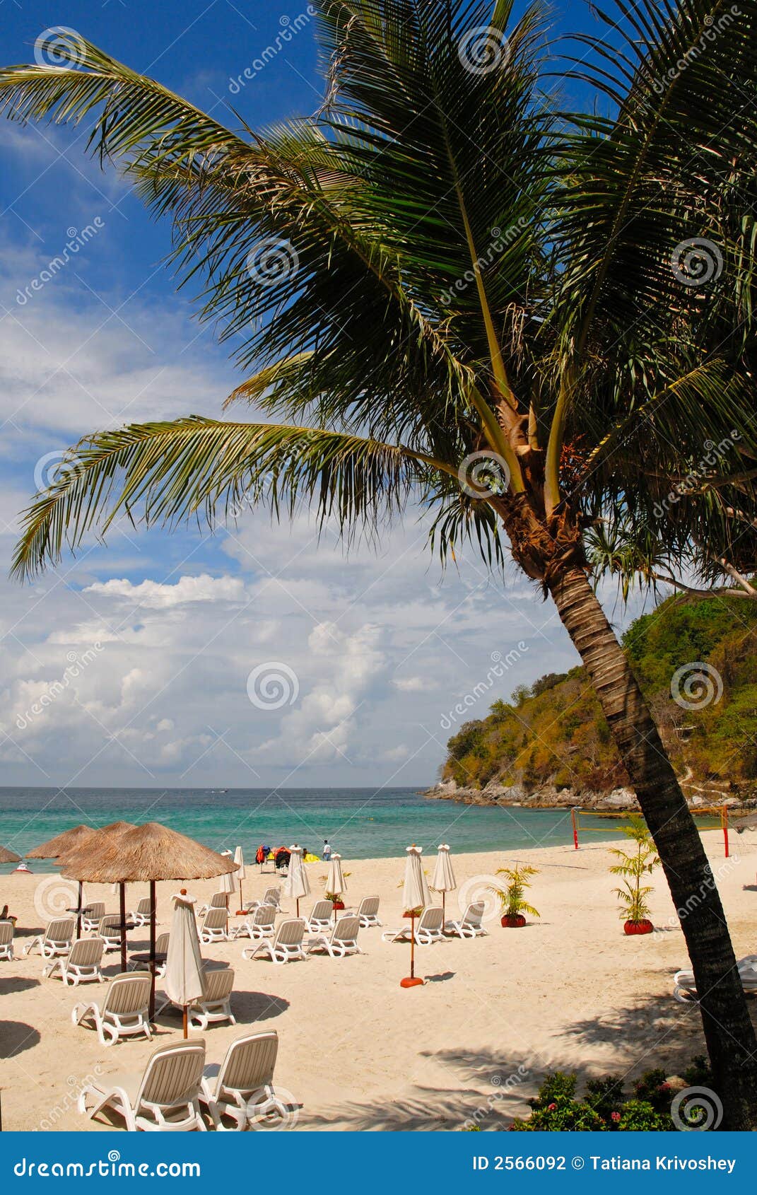 Palma on coast of ocean stock photo. Image of holiday - 2566092