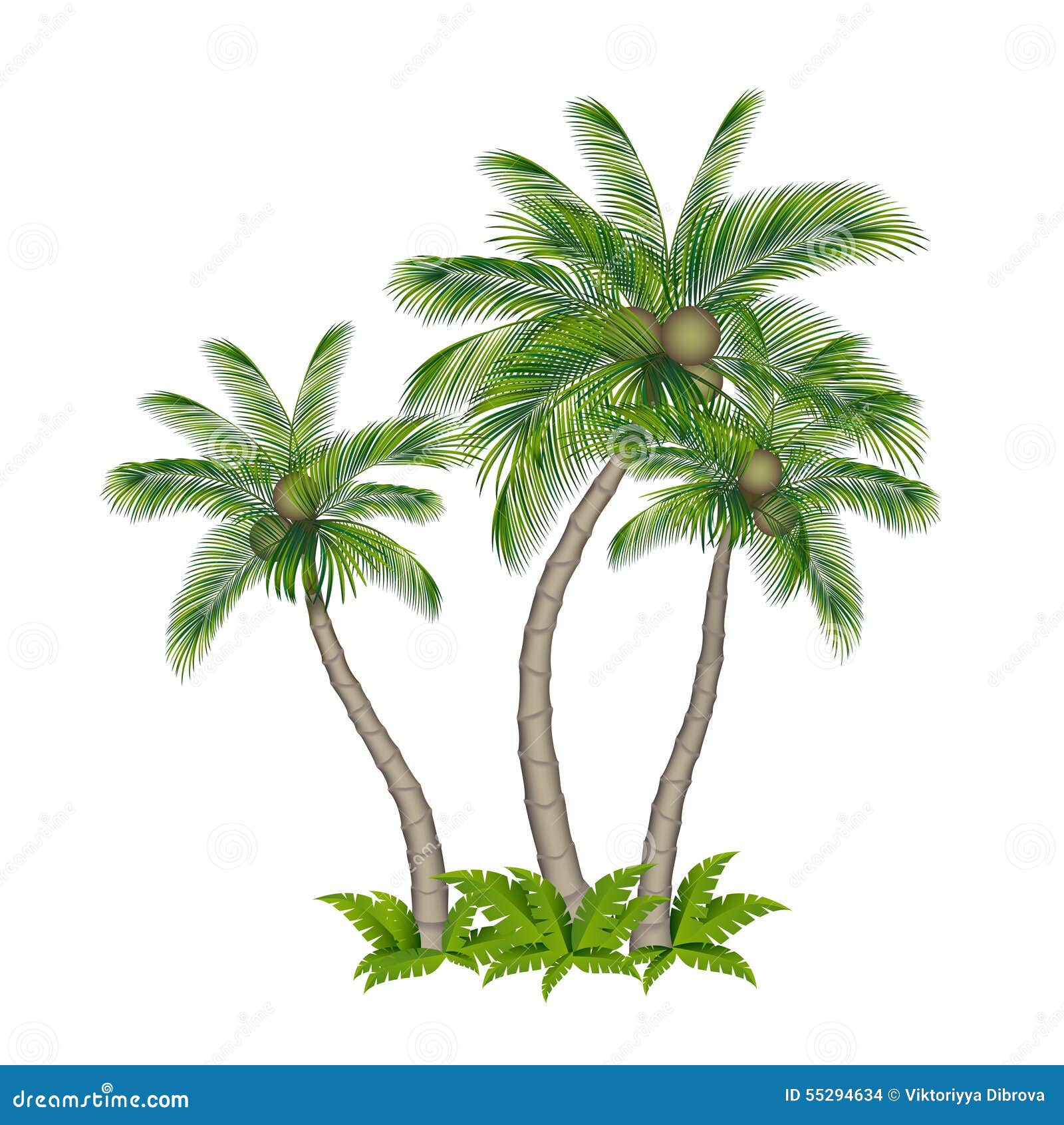 Palma colorata illustrazione vettoriale. Illustrazione di filiale ...