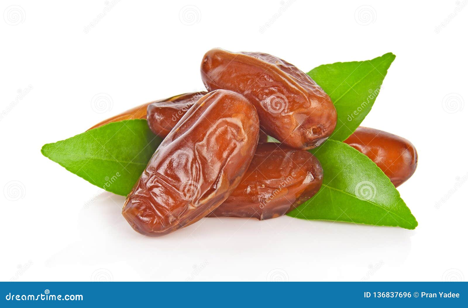 Palma Datilera Aislada En El Fondo Blanco Foto de archivo - Imagen de ...