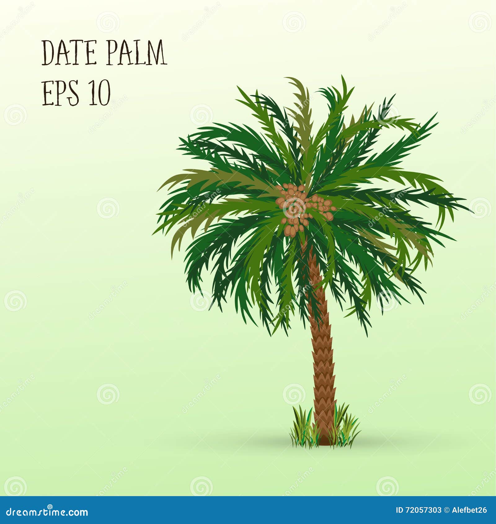 Palma Datilera Con Las Frutas Ilustración del Vector - Ilustración de ...