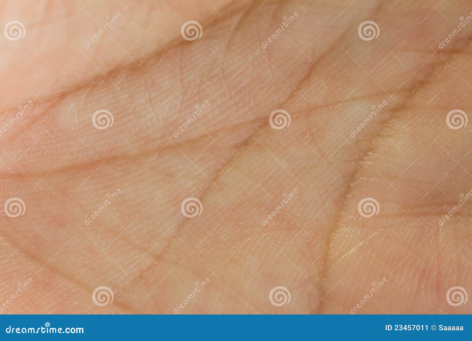 Palma de la mano imagen de archivo. Imagen de hombre - 23457011