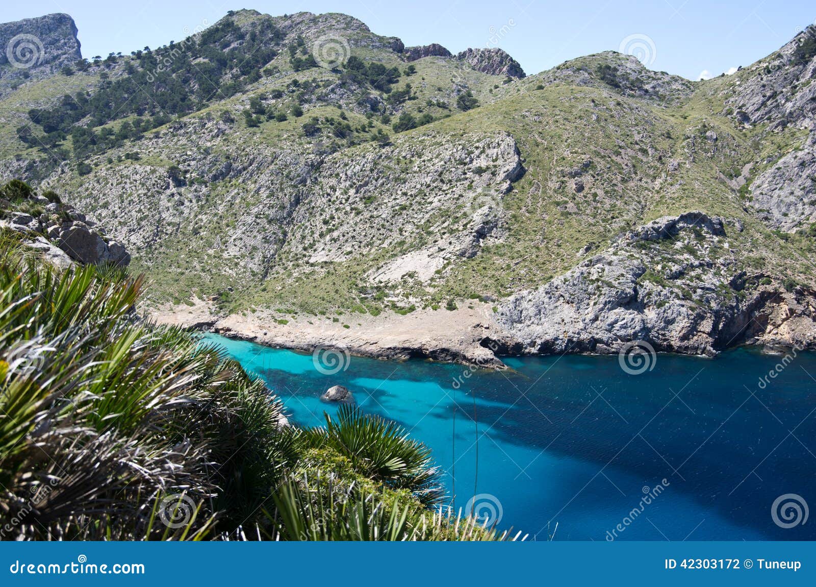 Palma de mallorca stock photo. Image of view, trees, ocean - 42303172