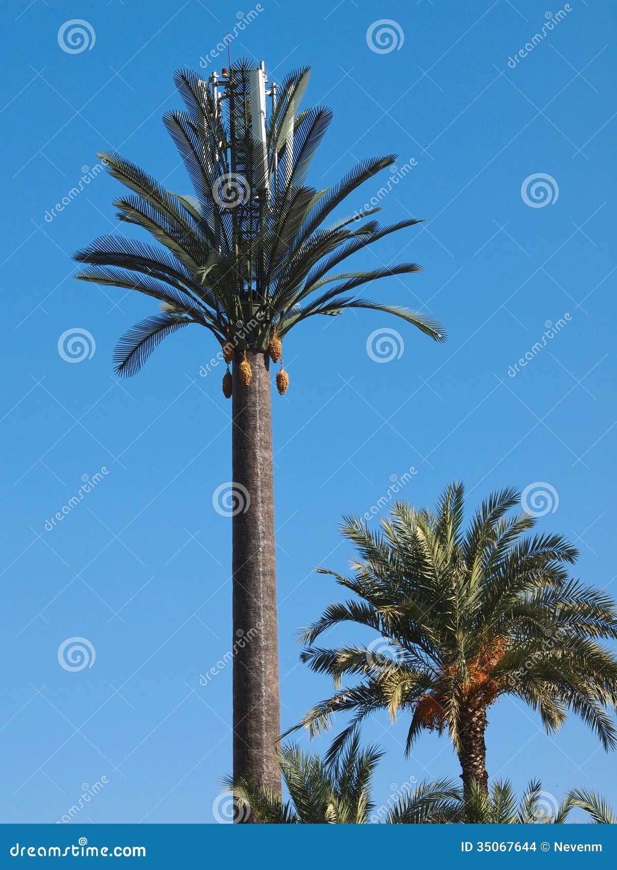 Palma di plastica fotografia stock. Immagine di colleghi - 35067644