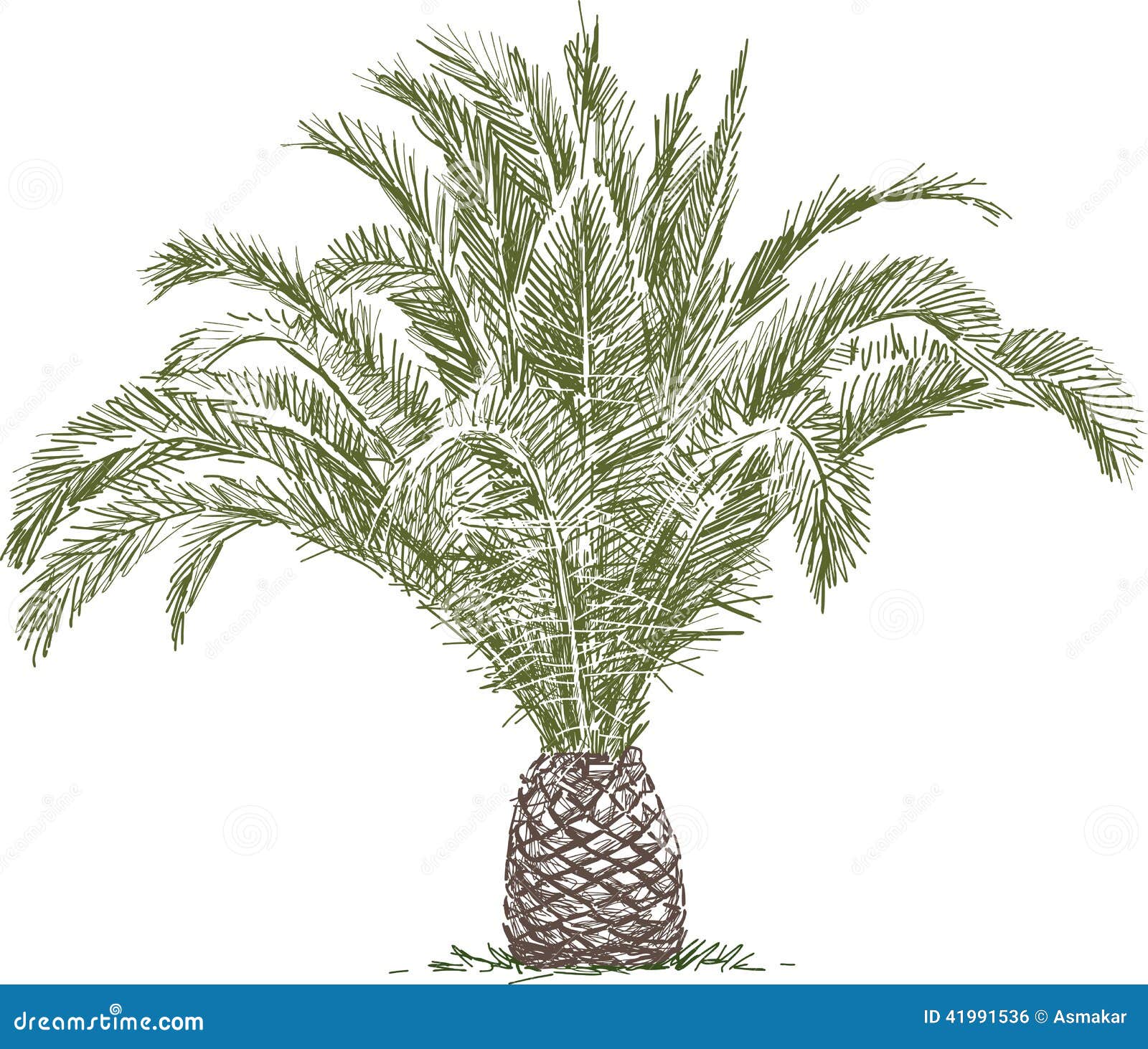 Palma tropical ilustración del vector. Ilustración de isla - 41991536