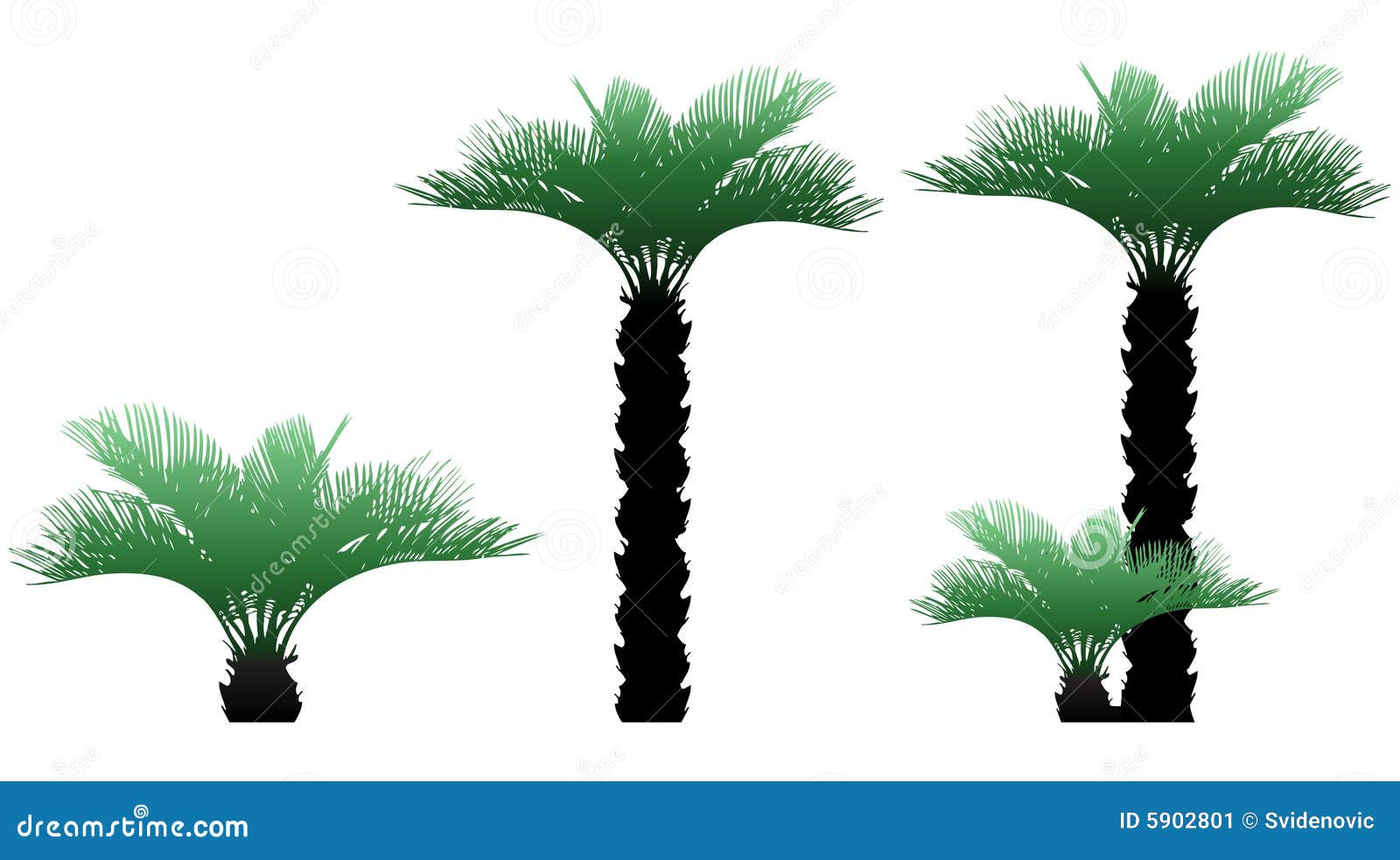 Palmas ilustración del vector. Ilustración de objeto, imagen - 5902801