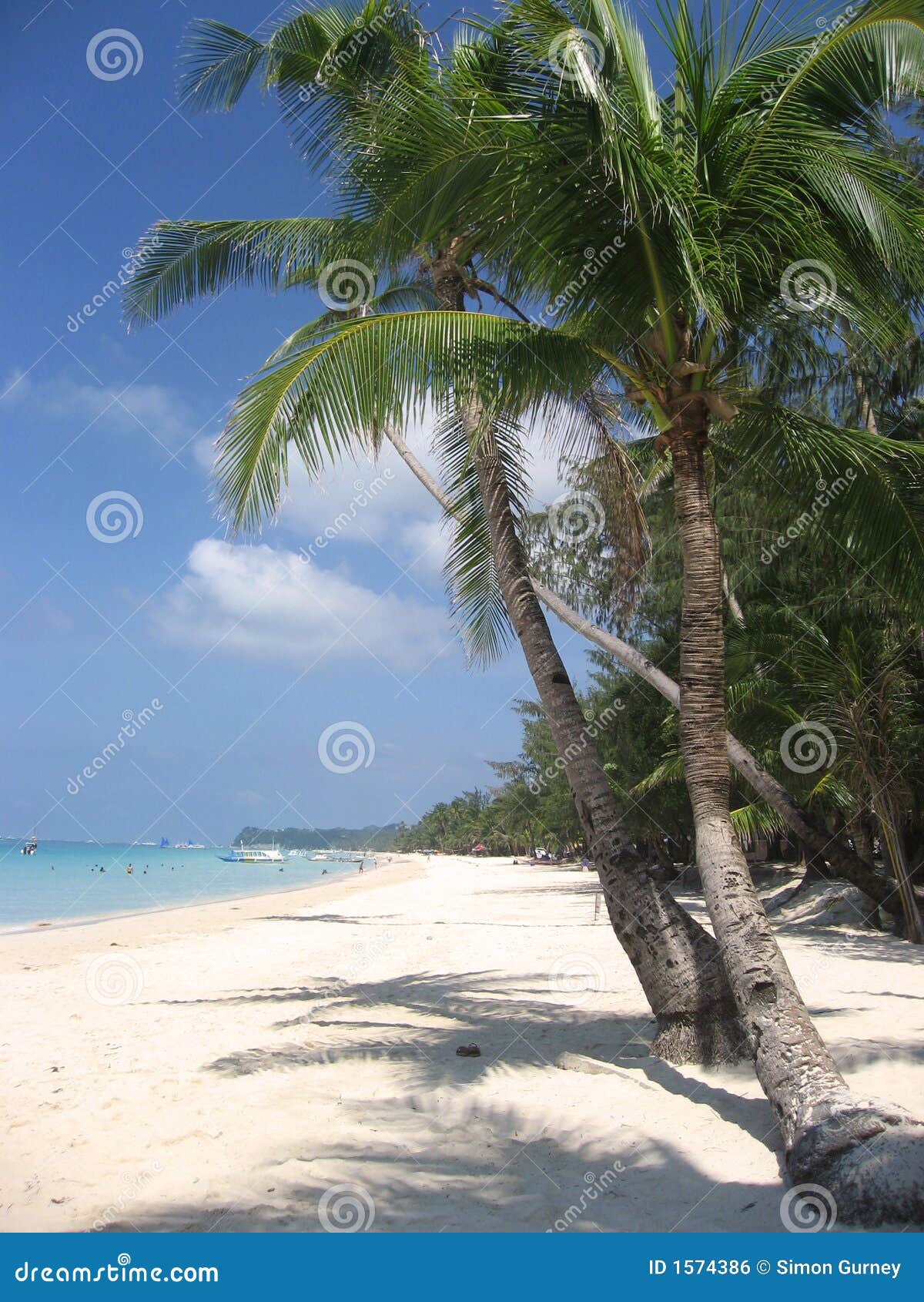 Palmas de Boracay foto de stock. Imagem de palmas, oceano - 1574386