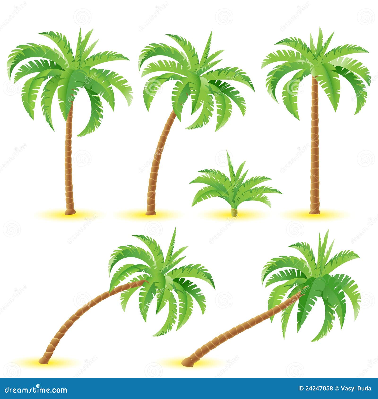 Palmas de coco ilustración del vector. Ilustración de palma - 24247058