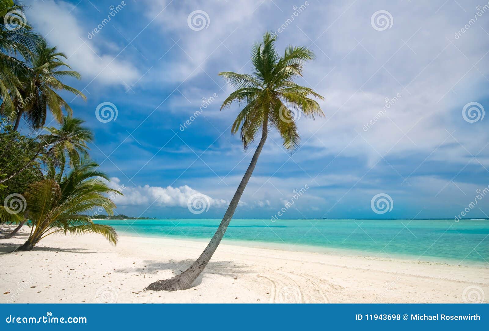 Palme Auf Einem Tropischen Strand Stockfoto - Bild von strand, palme ...