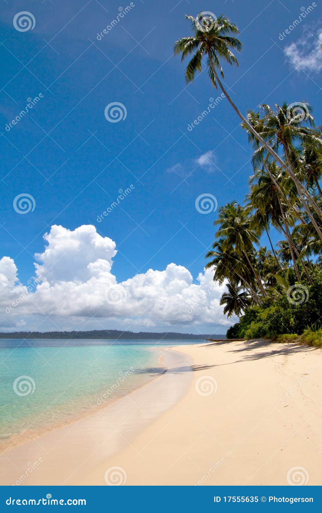 Palme Auf Tropischem Inselstrand Stockbild - Bild von ozean, strand ...
