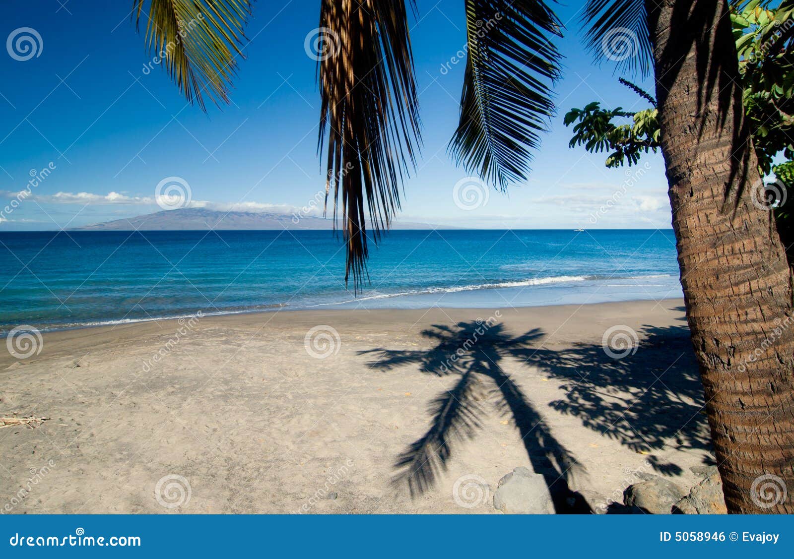 Palme-Schatten auf Strand stockfoto. Bild von palme, türkis - 5058946