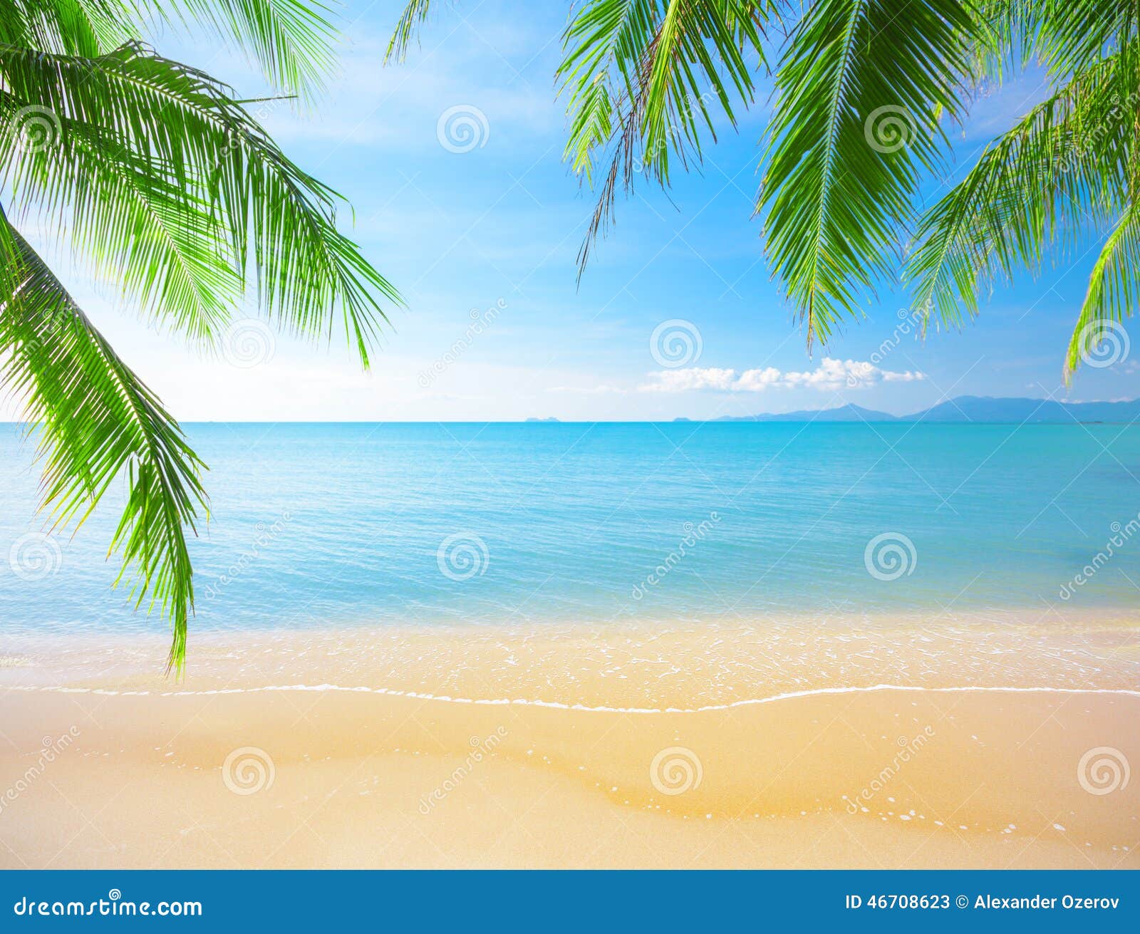 Palme Und Tropischer Strand Stockbild - Bild von lagune, auszug: 46708623