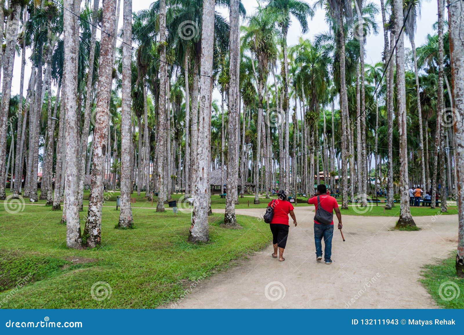 Palmentuin Park in Paramaribo Editorial Stock Photo - Image of lawn ...