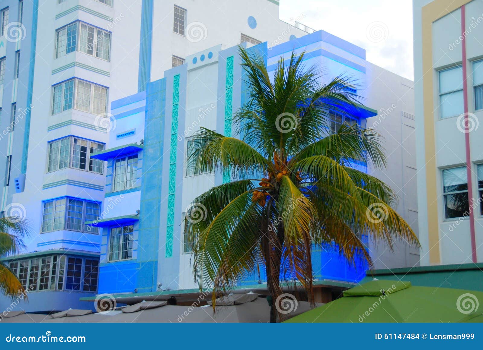 Palmera de Miami foto de archivo. Imagen de céntrico - 61147484