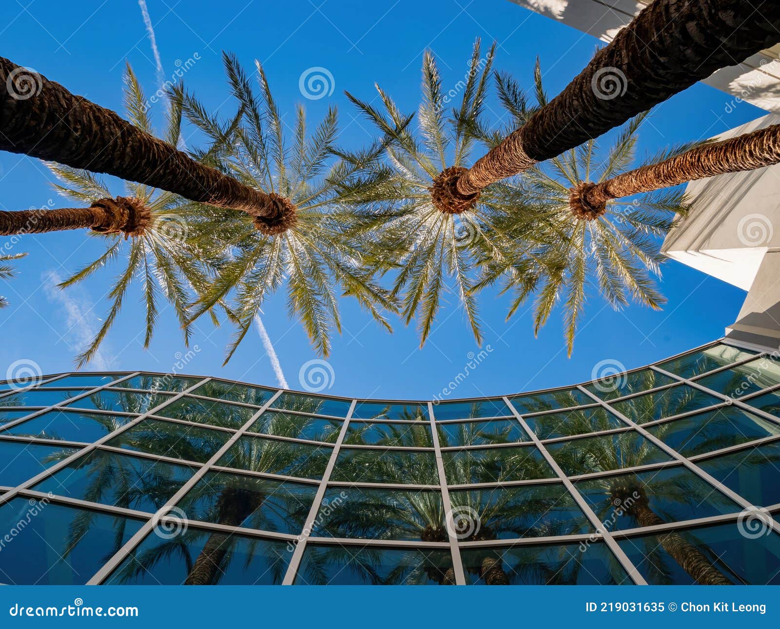 Palmera Y Edificio Moderno En El Campus De La Unlv Imagen de archivo ... Palmera Y Edificio Moderno En El Campus De La Unlv Imagen de archivo ...