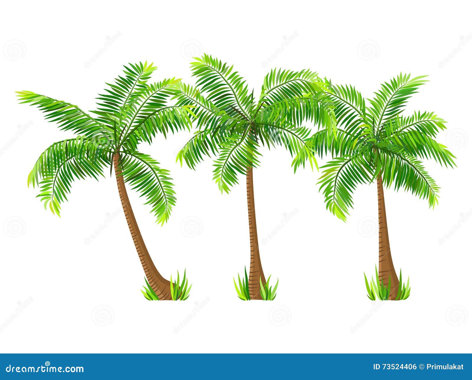 Palmeras Del Coco Del Vector Fijadas Aisladas En Blanco Ilustración del ...