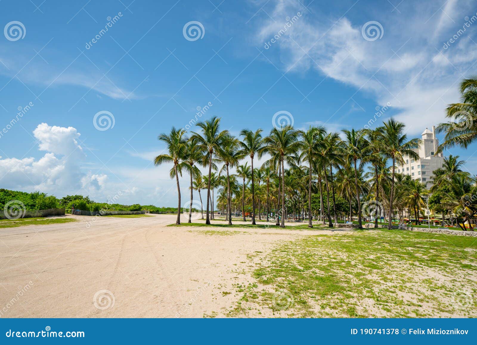 Palmeras miami beach scena foto de archivo. Imagen de playa - 190741378