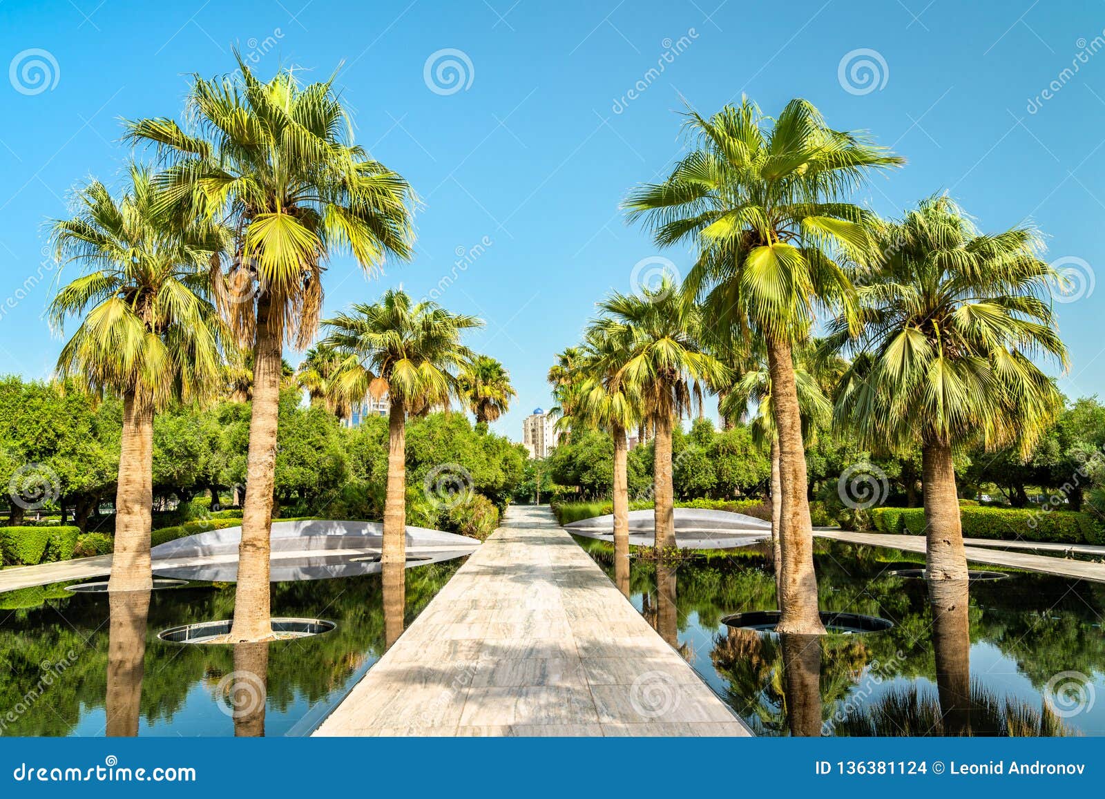 Palmeto in Al Shaheed Park, Madinat Al-Kuwait Fotografia Stock ...