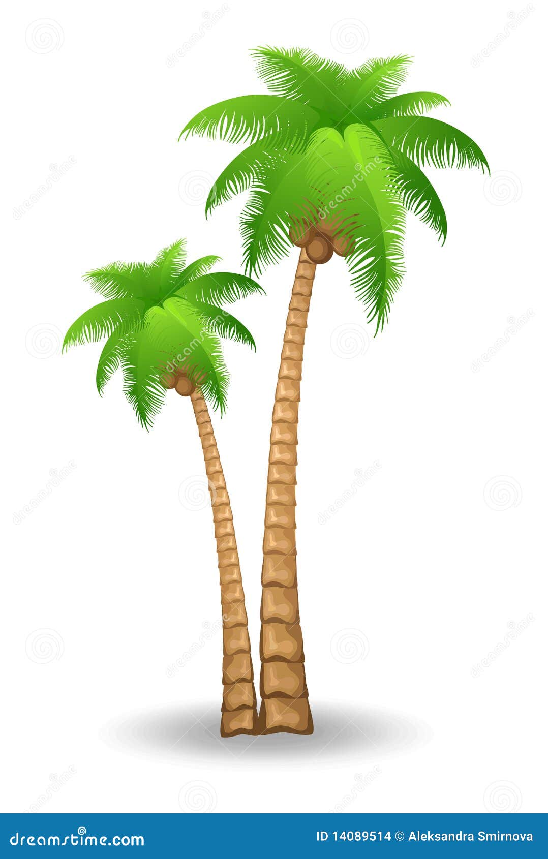 Palmier illustration de vecteur. Illustration du ensoleillé - 14089514