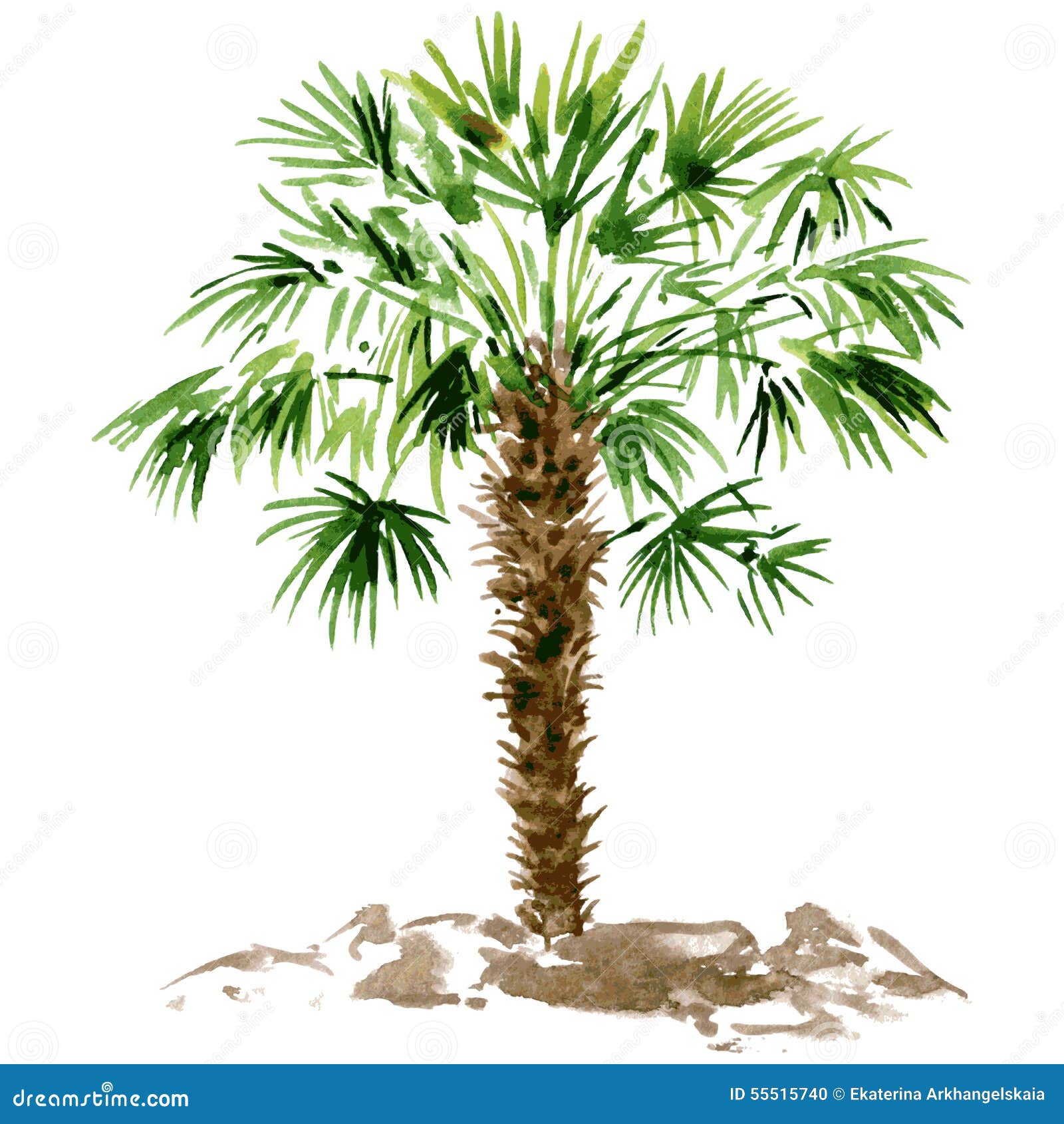 Palmier d'aquarelle illustration de vecteur. Illustration du cheminée ...