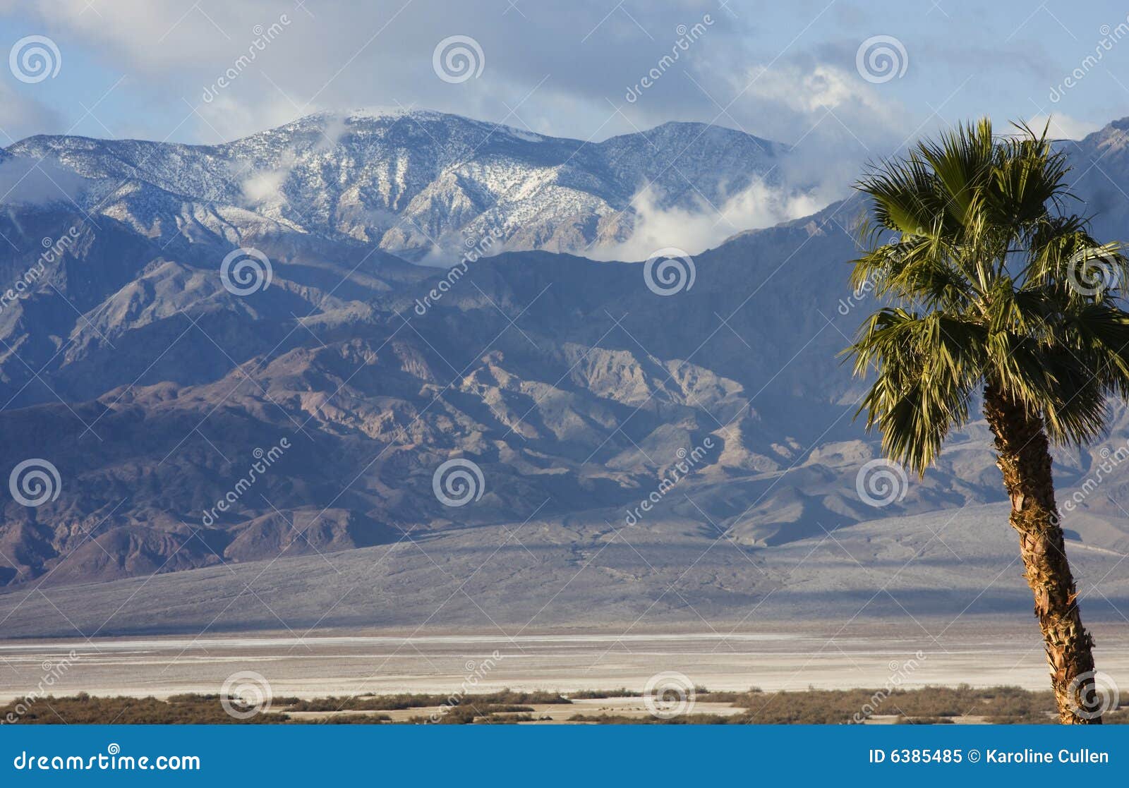 Palmier Et Montagnes De Panamint Image stock - Image du nature ...