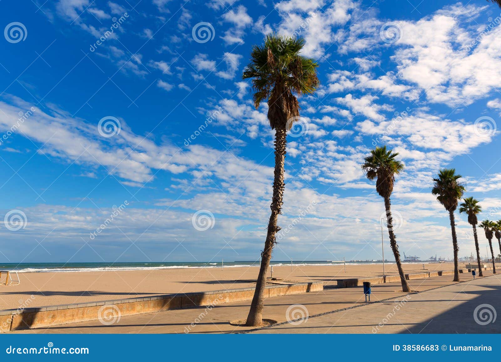 Palmiers De Plage De Valence Dans Patacona Image stock - Image du ...