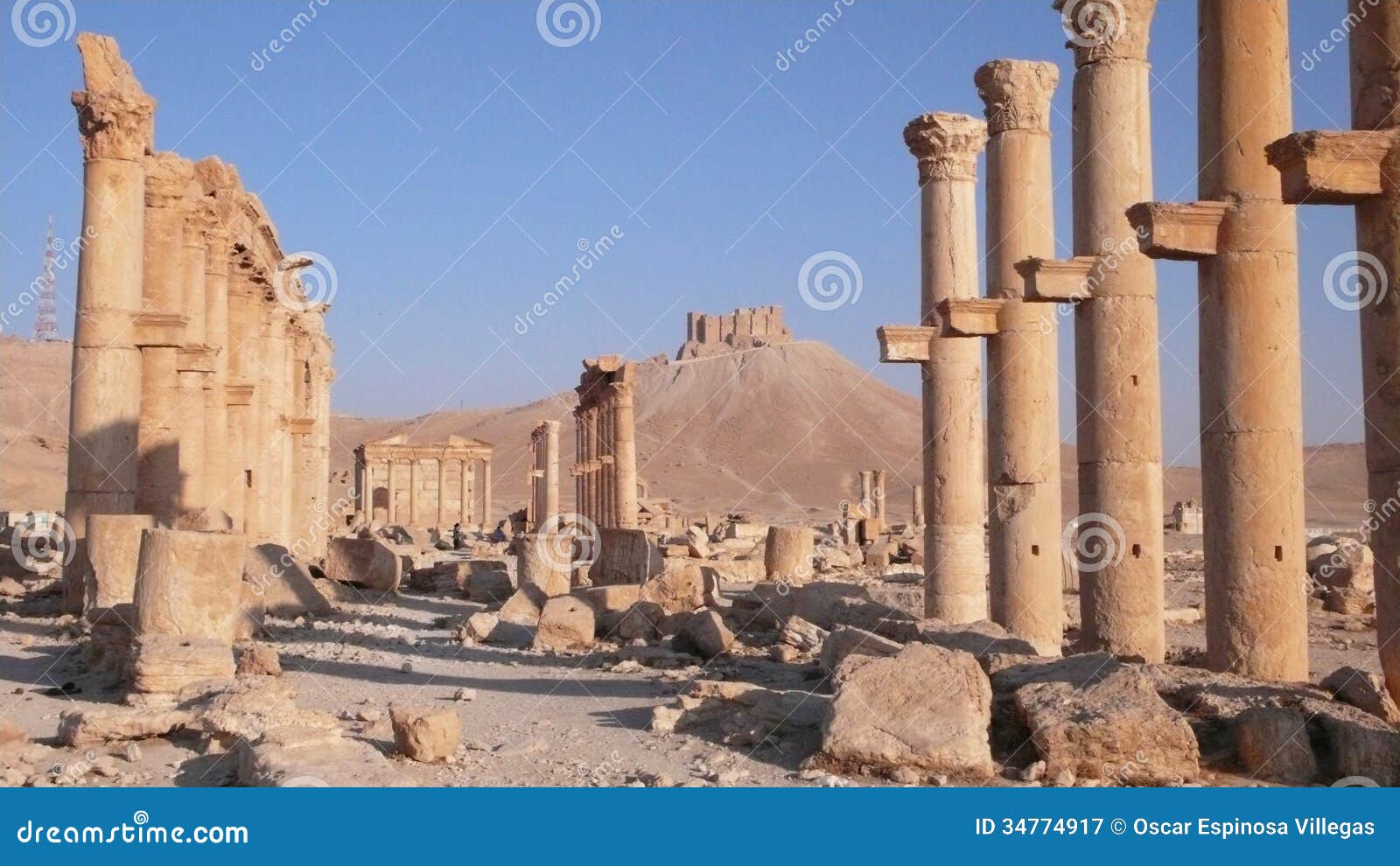 Palmira. La Siria immagine stock. Immagine di feste, corsa - 34774917