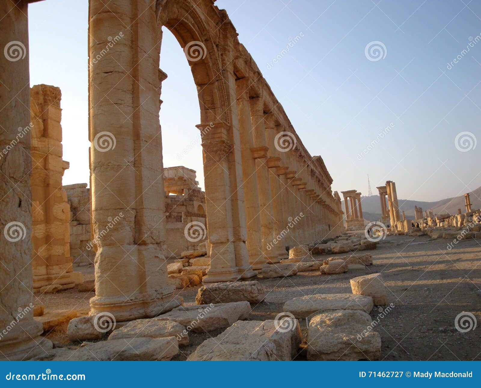 Palmira, Siria immagine stock. Immagine di assiri, itinerario - 71462727